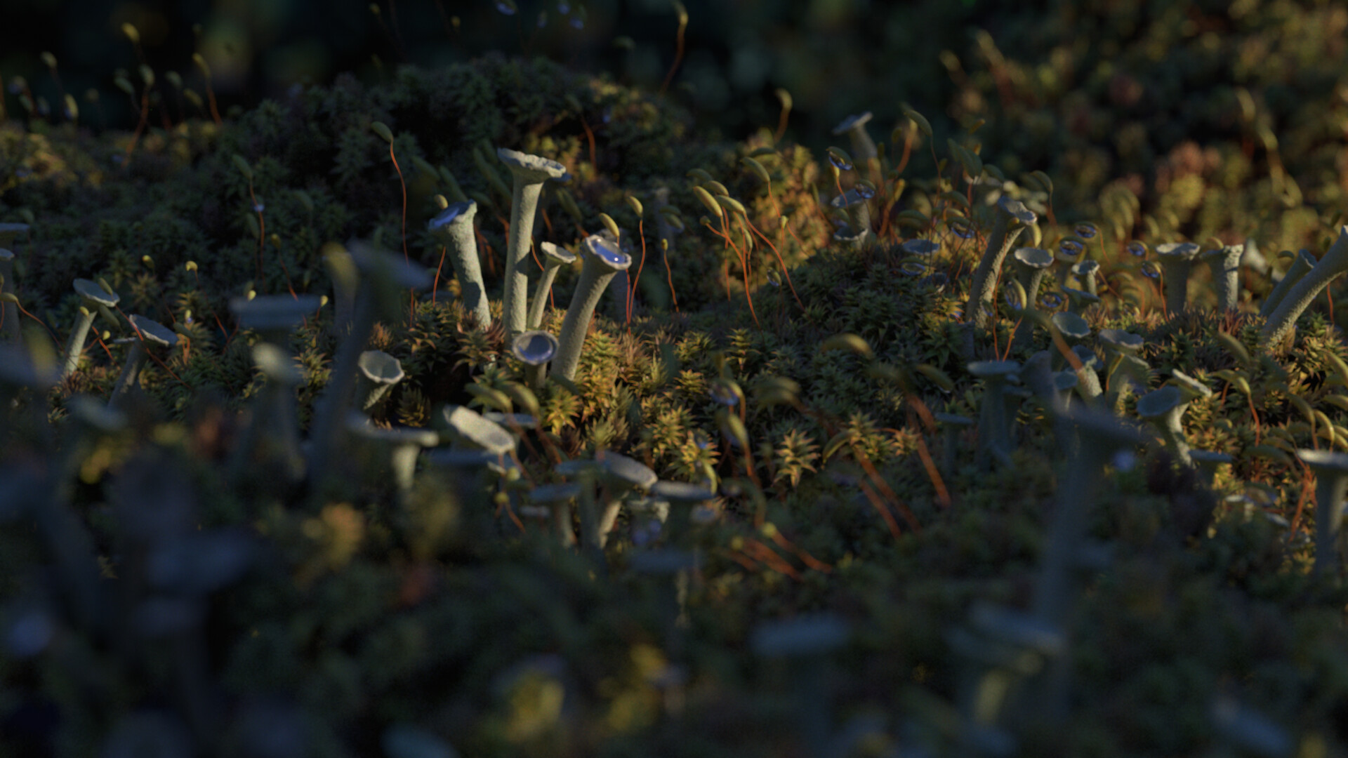 ArtStation - Moss Study