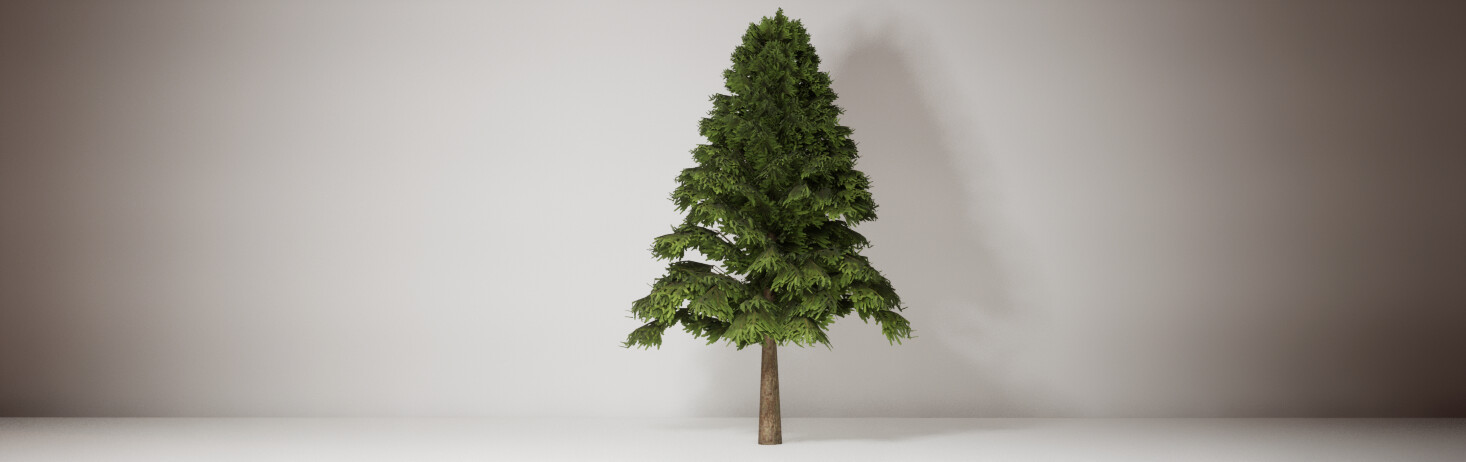 bryar shapur - Tree Models