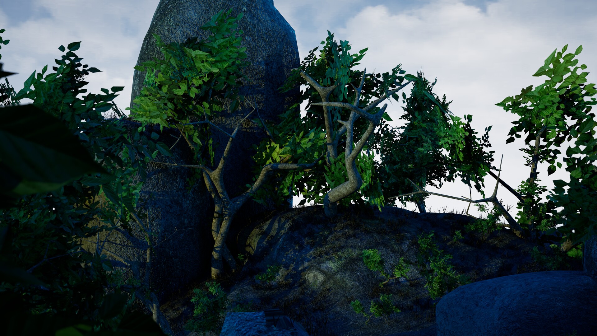 Kelli Norris - Unreal Nature Scene Vignette