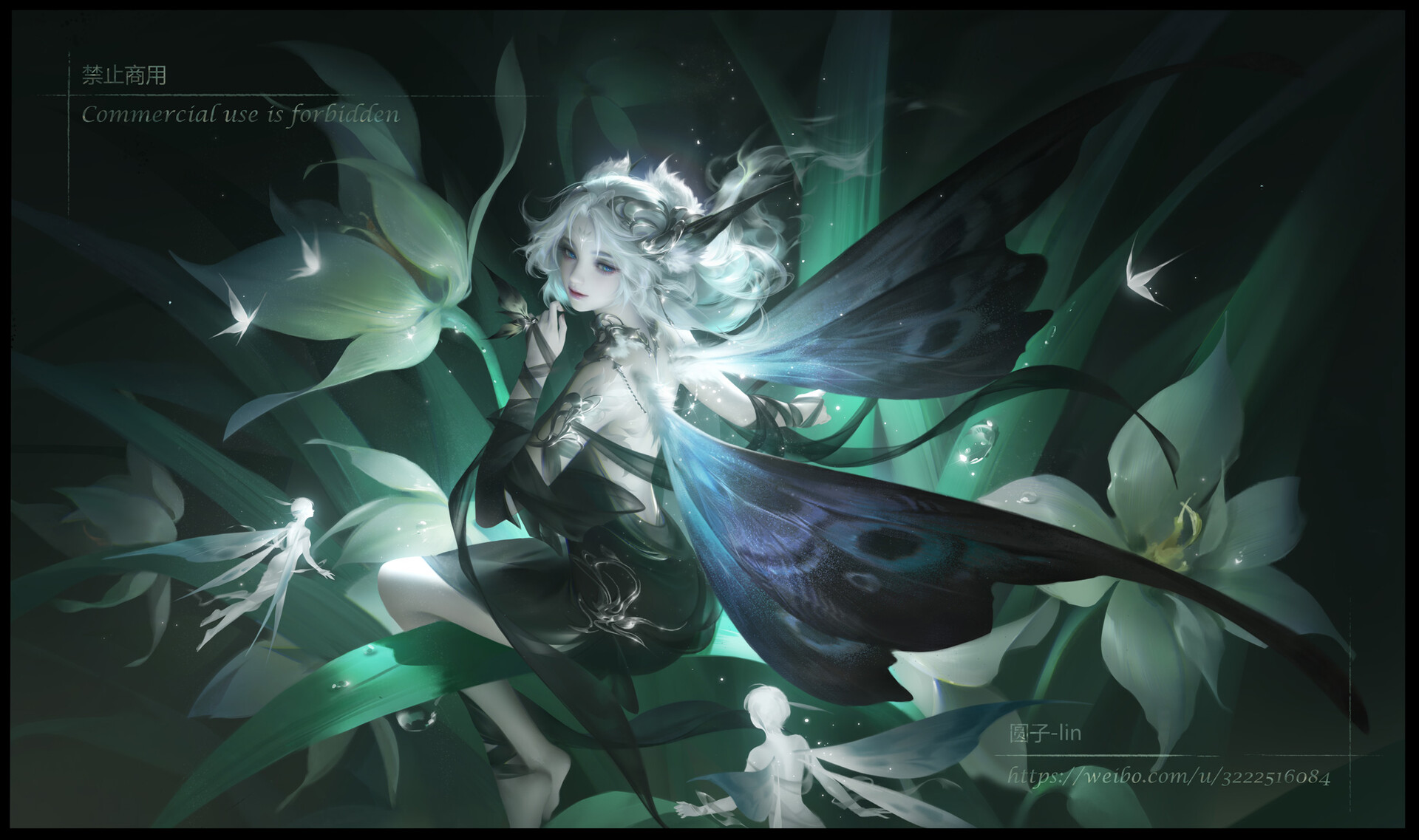 yuanyuan-wang-a.jpg (1920×1137)-花瓣网