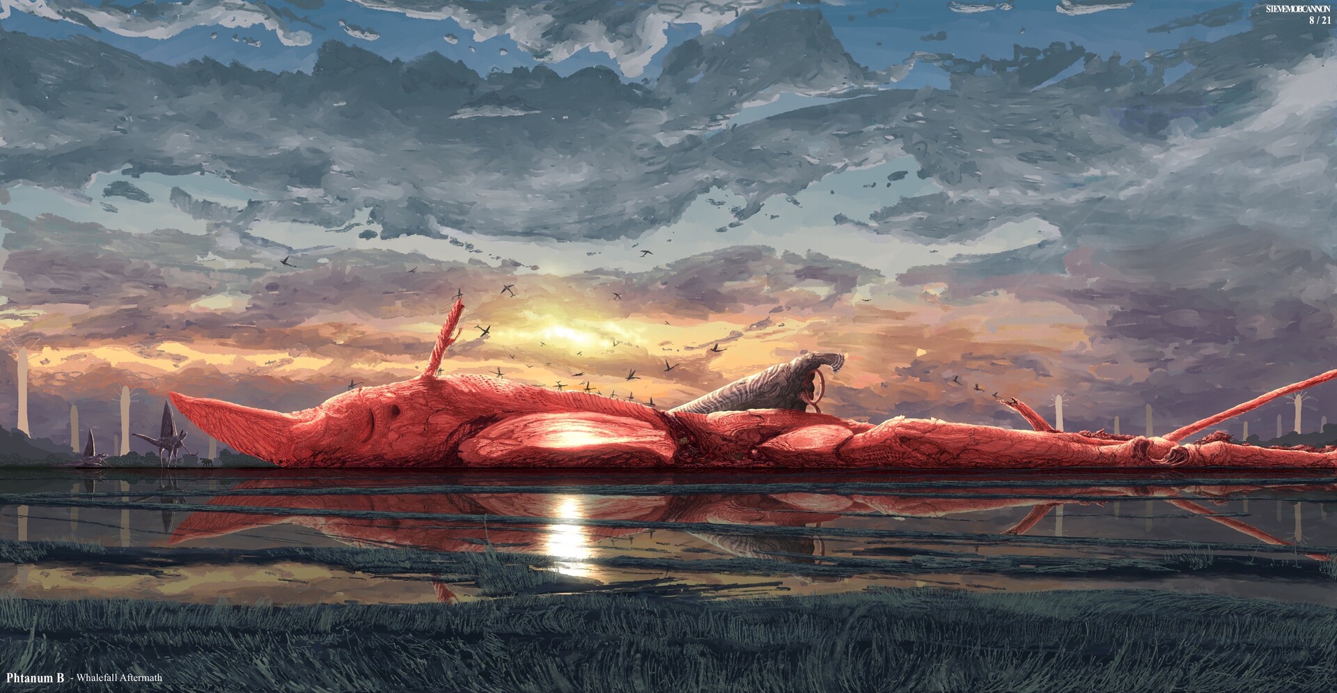 Imaginary Leviathans