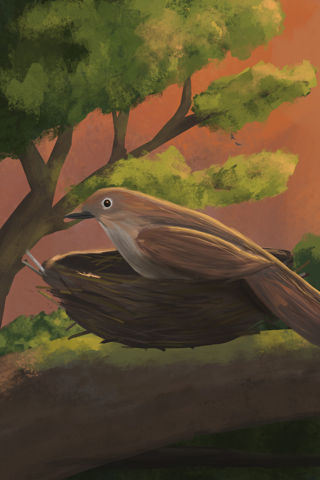 Alexandre Rabaça - The Nightingale (Bird), Maximus