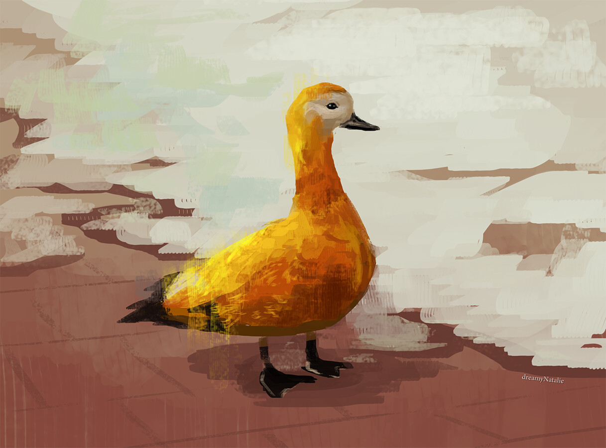 ArtStation - Ruddy shelduck