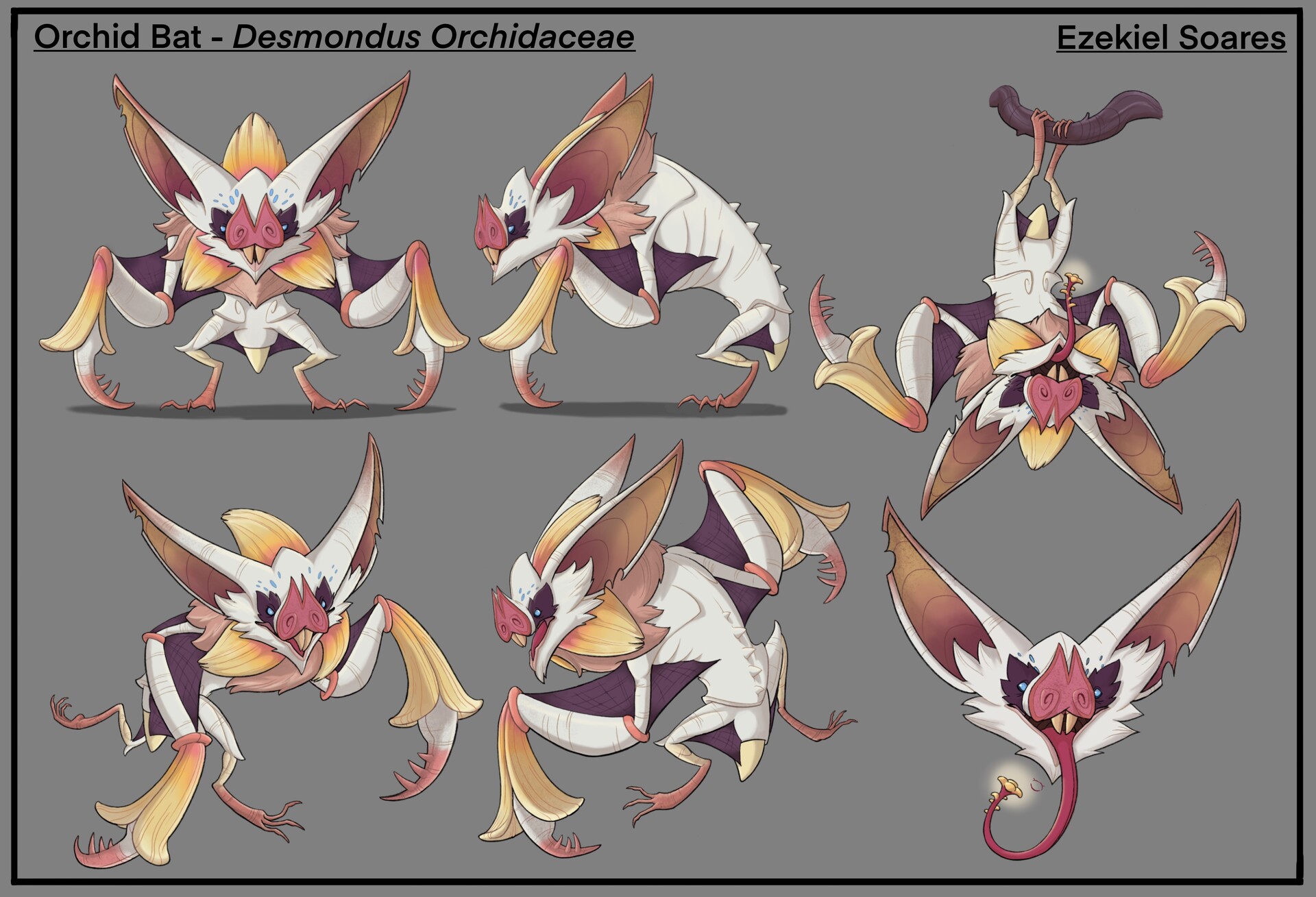 ArtStation - The Orchid Bat: Creature Design