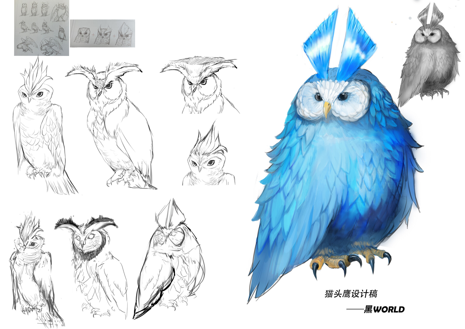 ArtStation - Animal design——owl