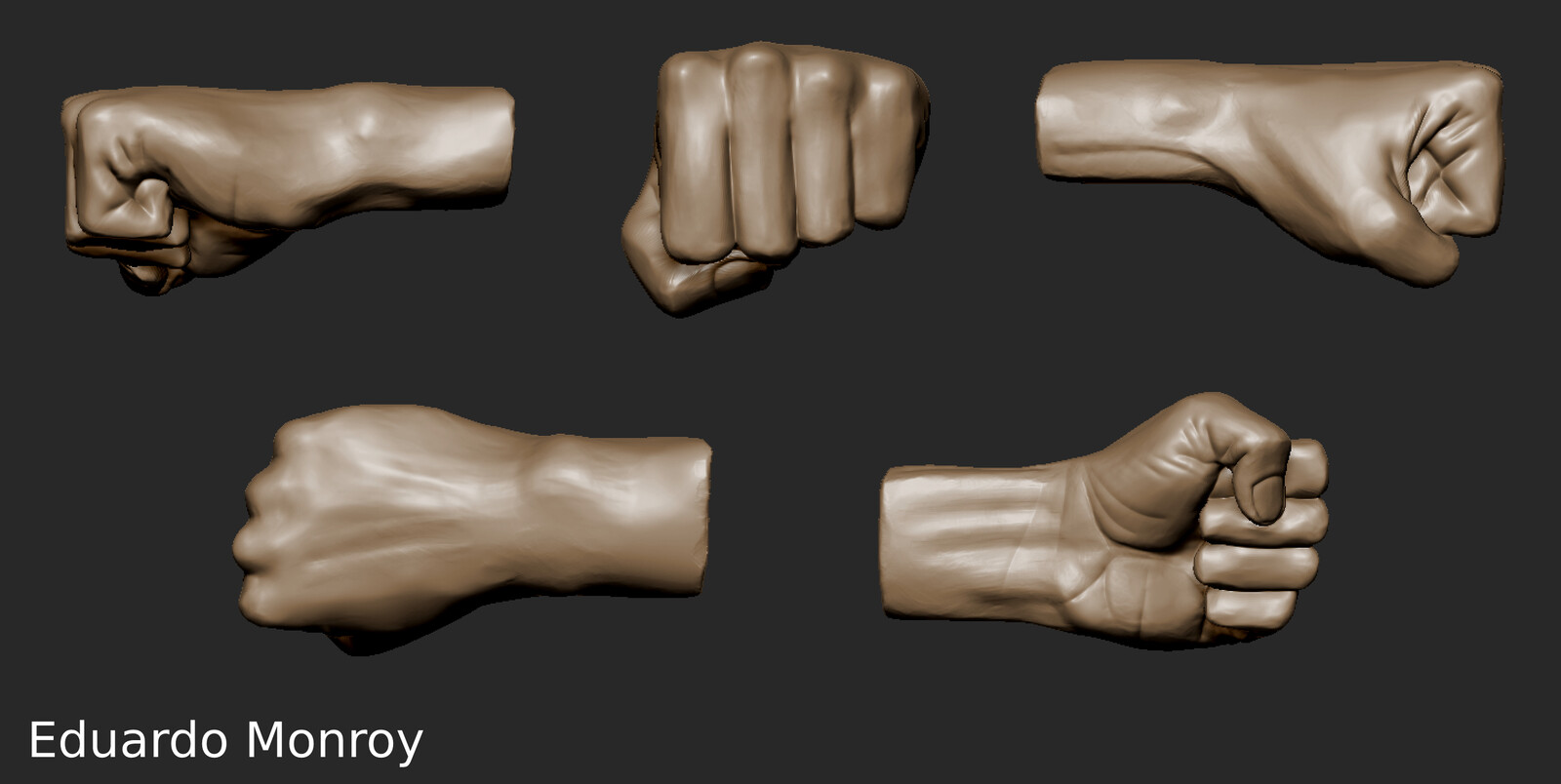 Eduardo Monroy - Fist 3D Model