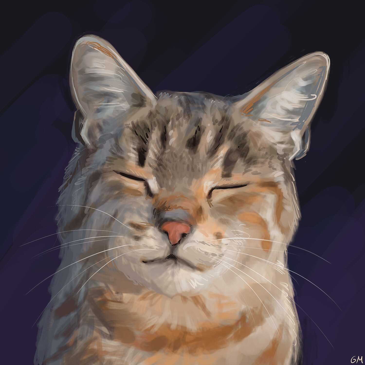 ArtStation - Cat study - Pici