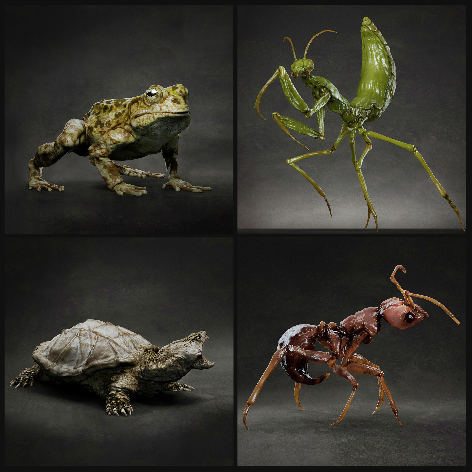 ArtStation - Animal models for sale