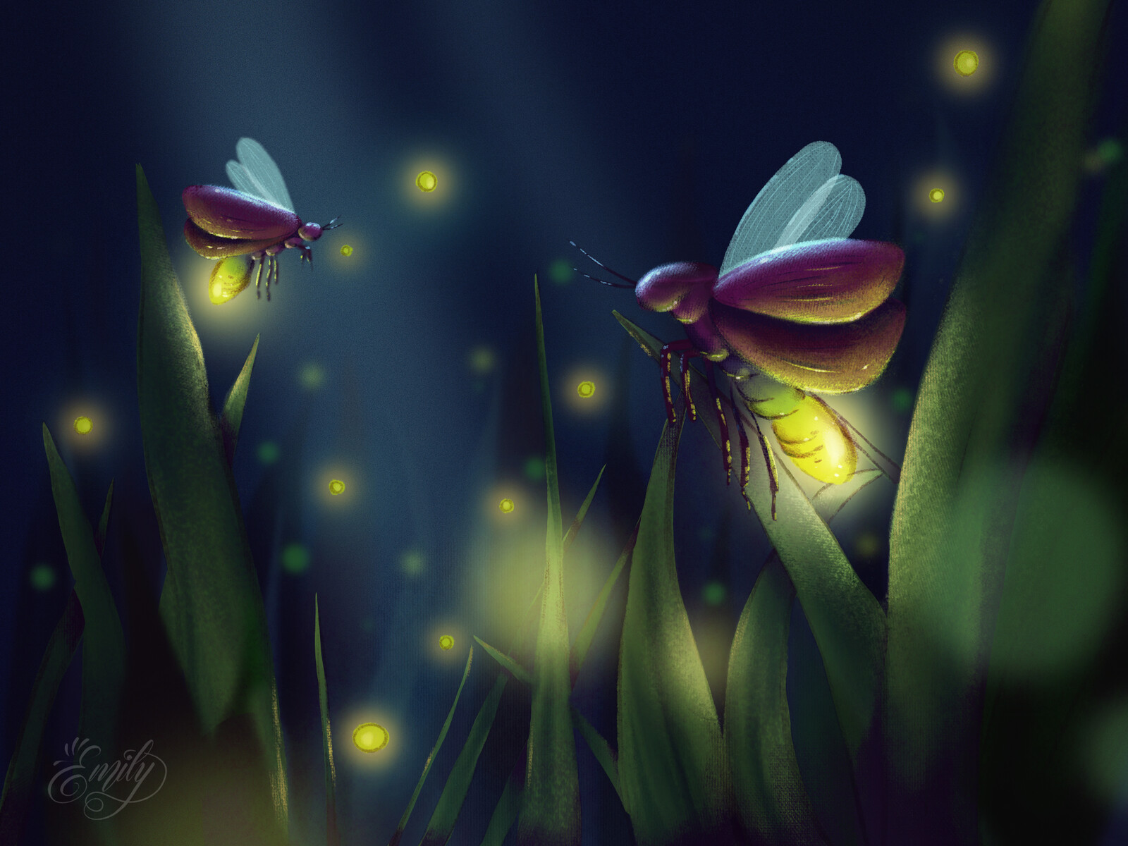 Emily Cabrera - FIREFLY