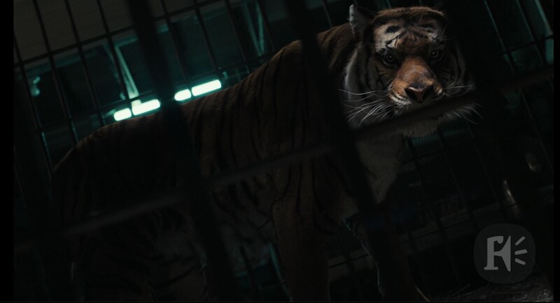 ArtStation - Daveed Kaplan