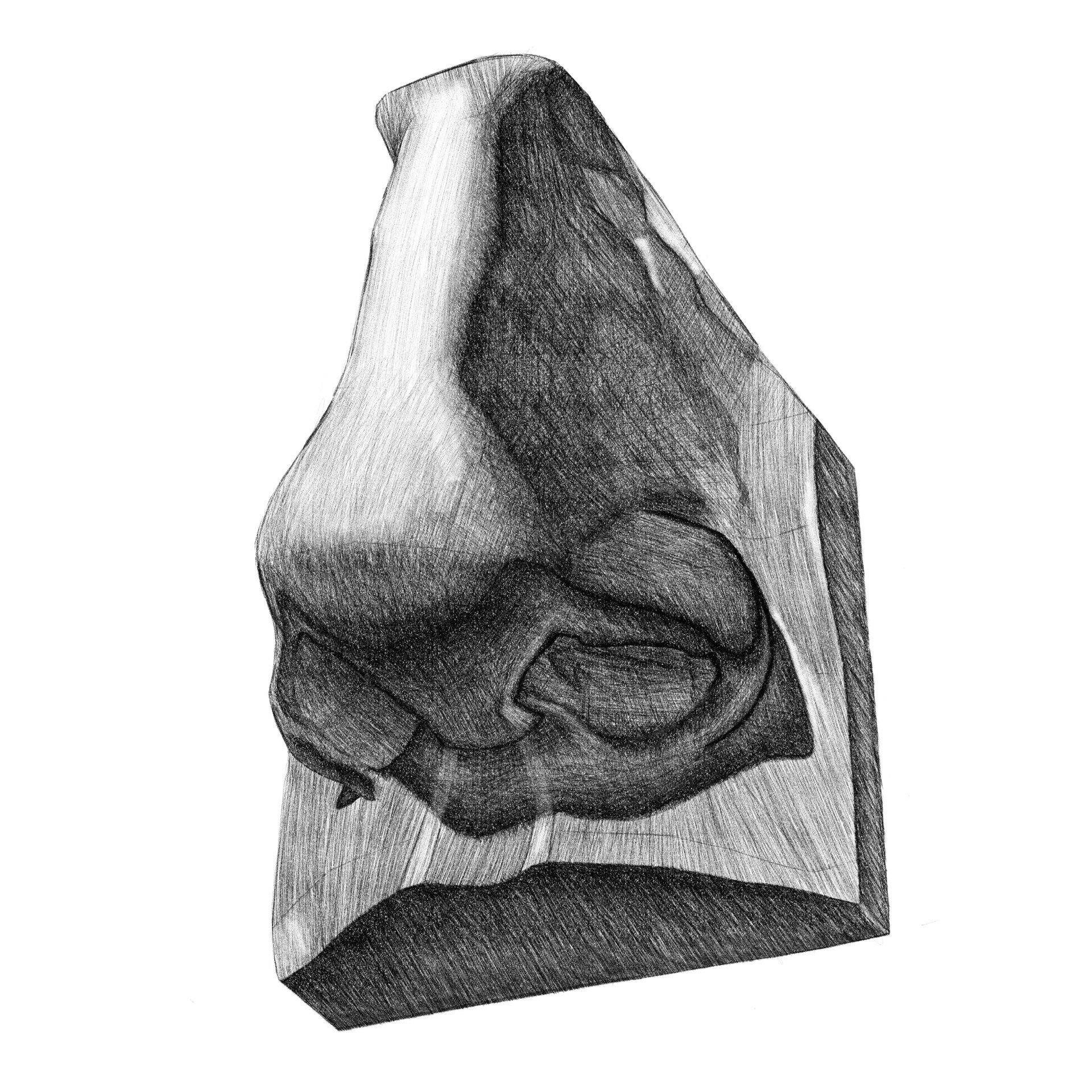 ArtStation - Cast of David's Nose #2