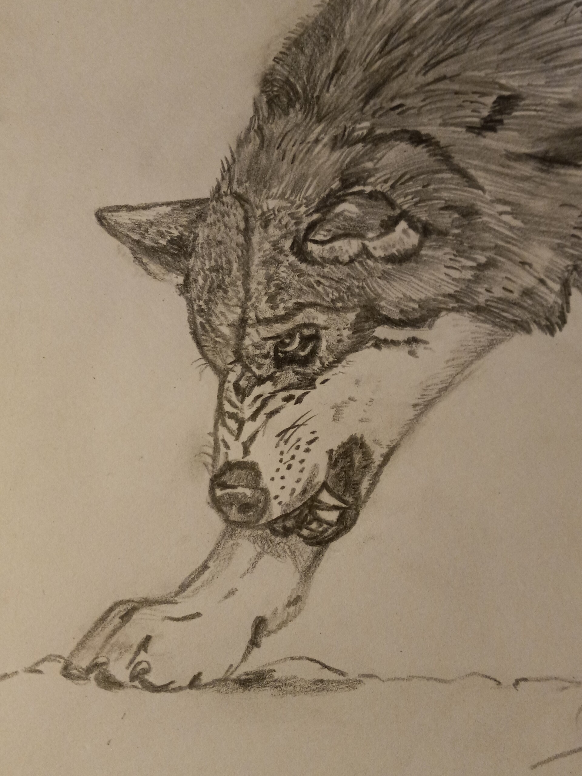 ArtStation - squiggle diggle