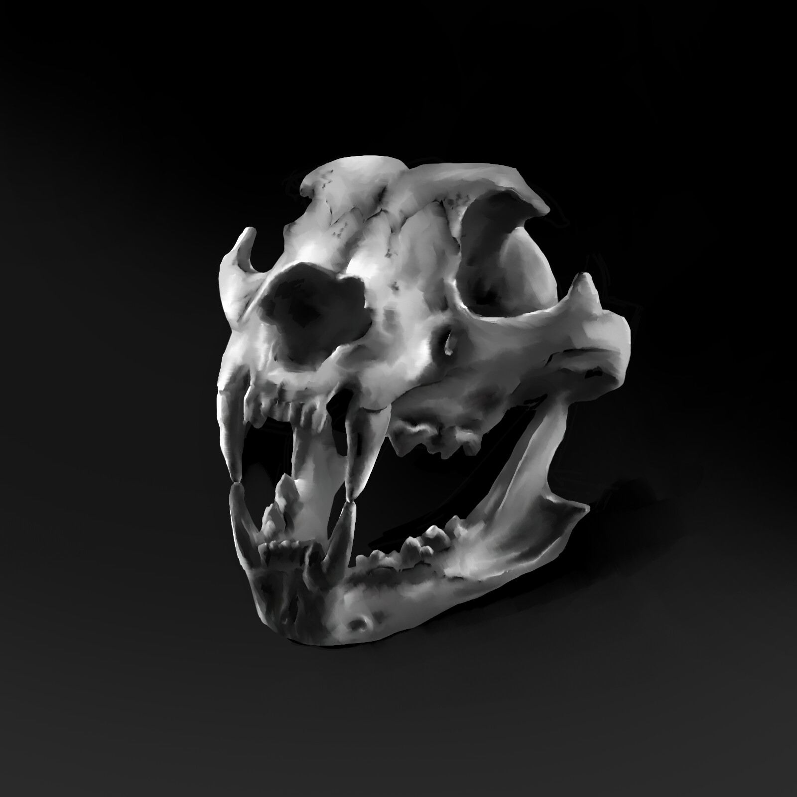 jackal skull 3d