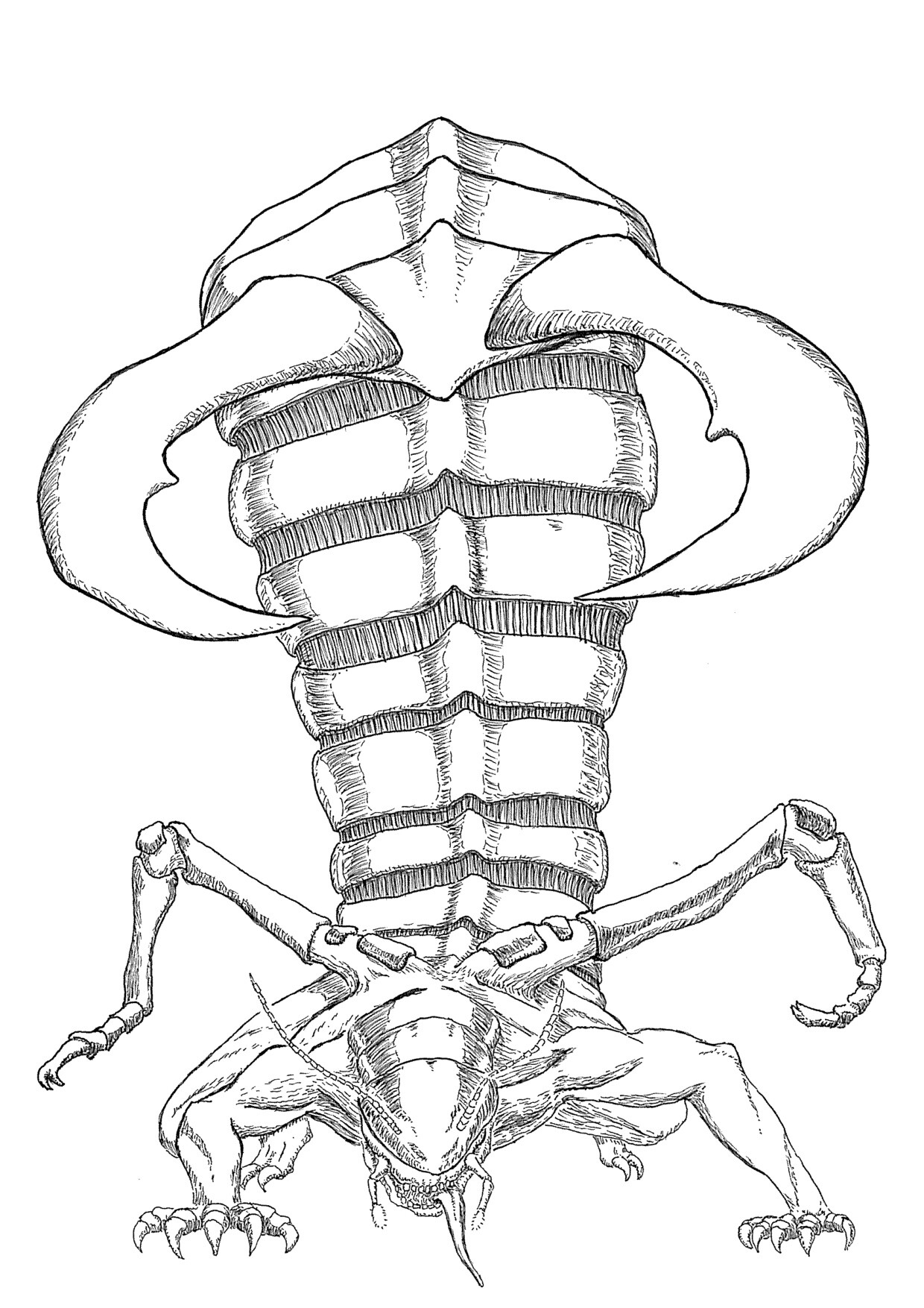 ArtStation - \\\ Freely drawing character