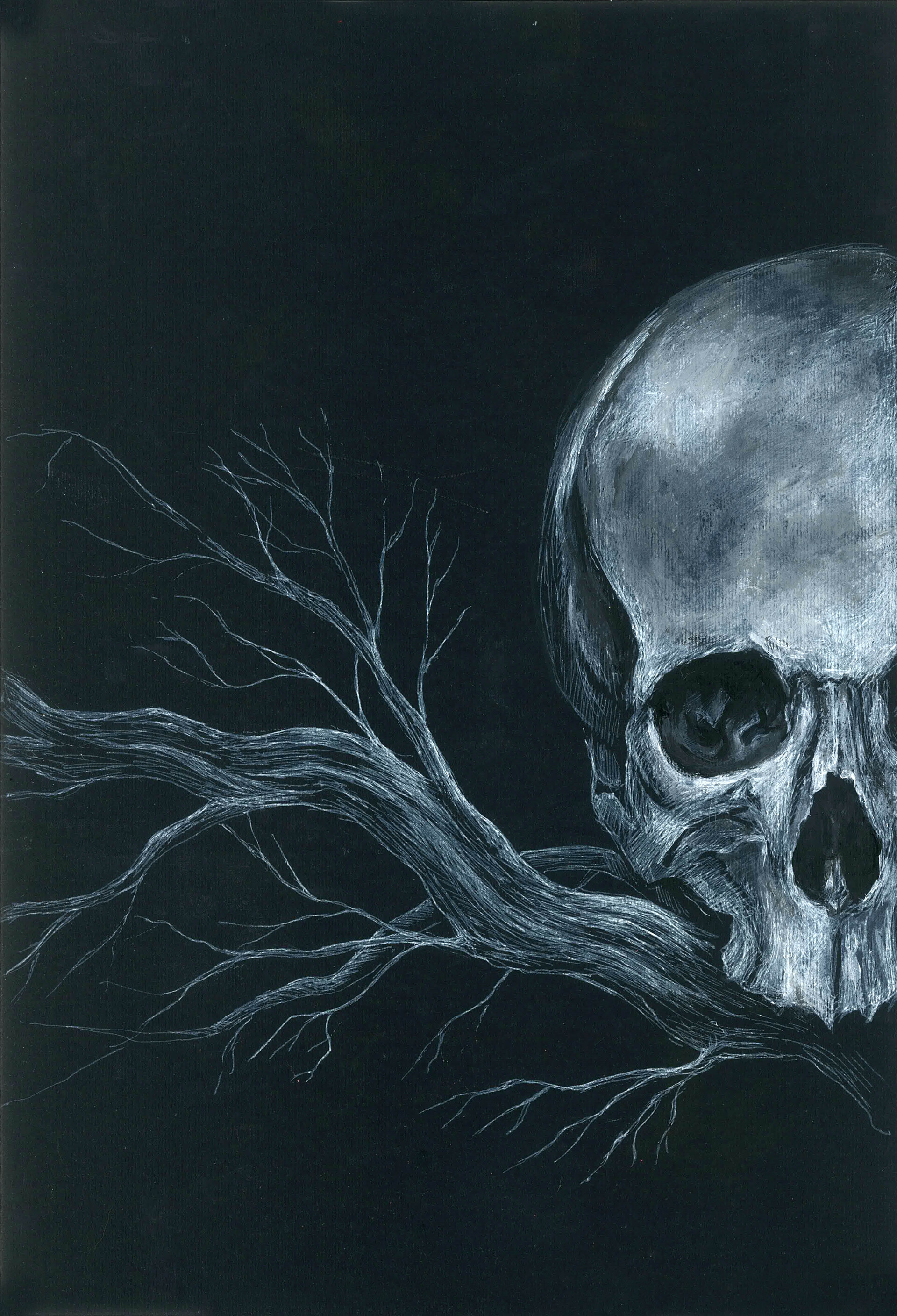 how to draw a skull on black paper
