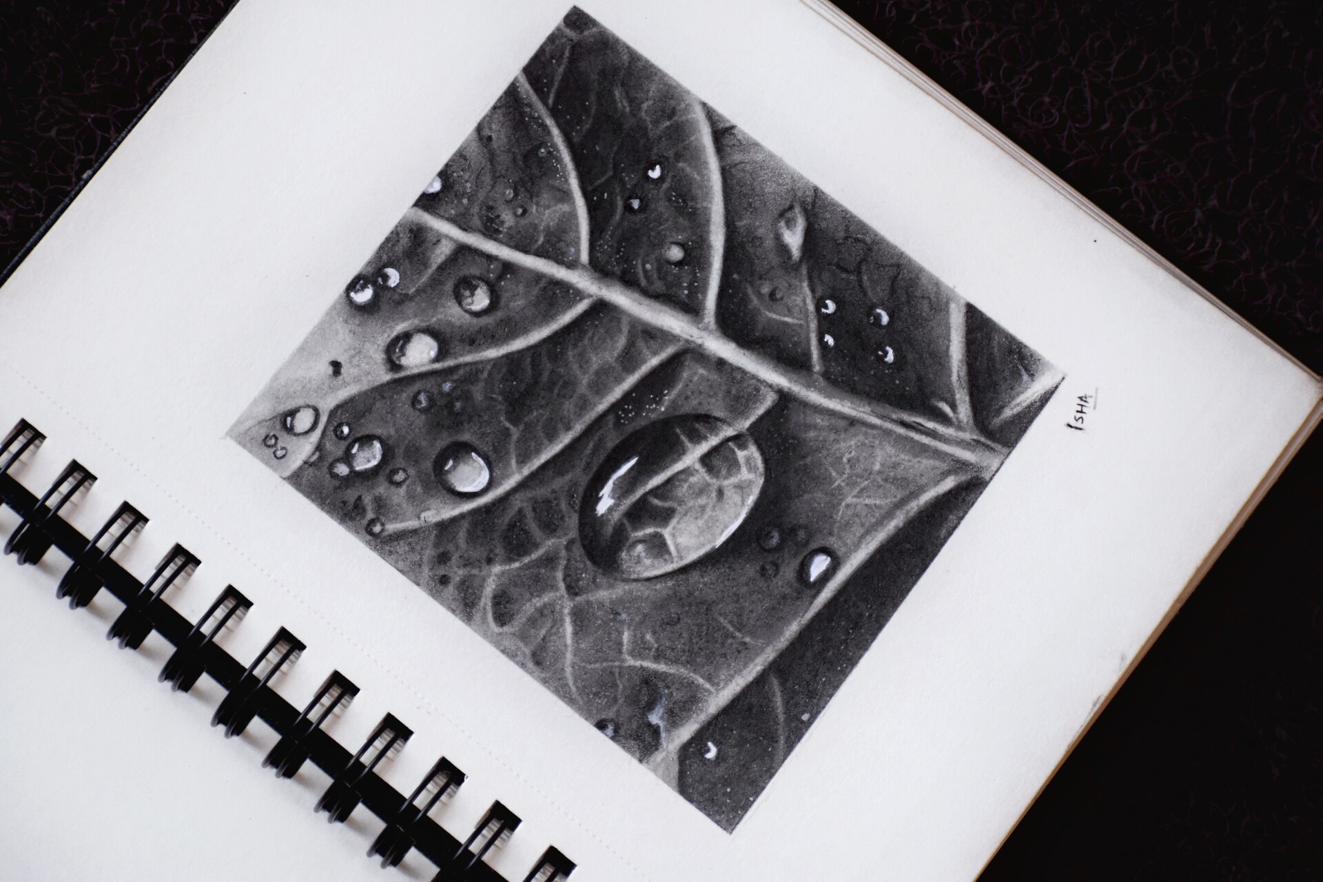 ArtStation - macro leaf study