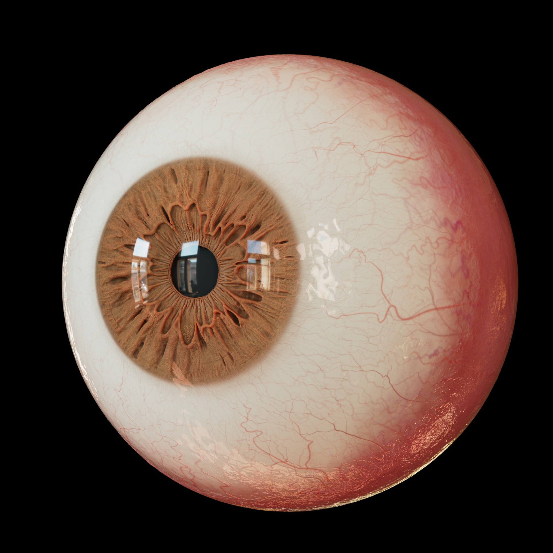 ArtStation - Realistic Human Eye ball