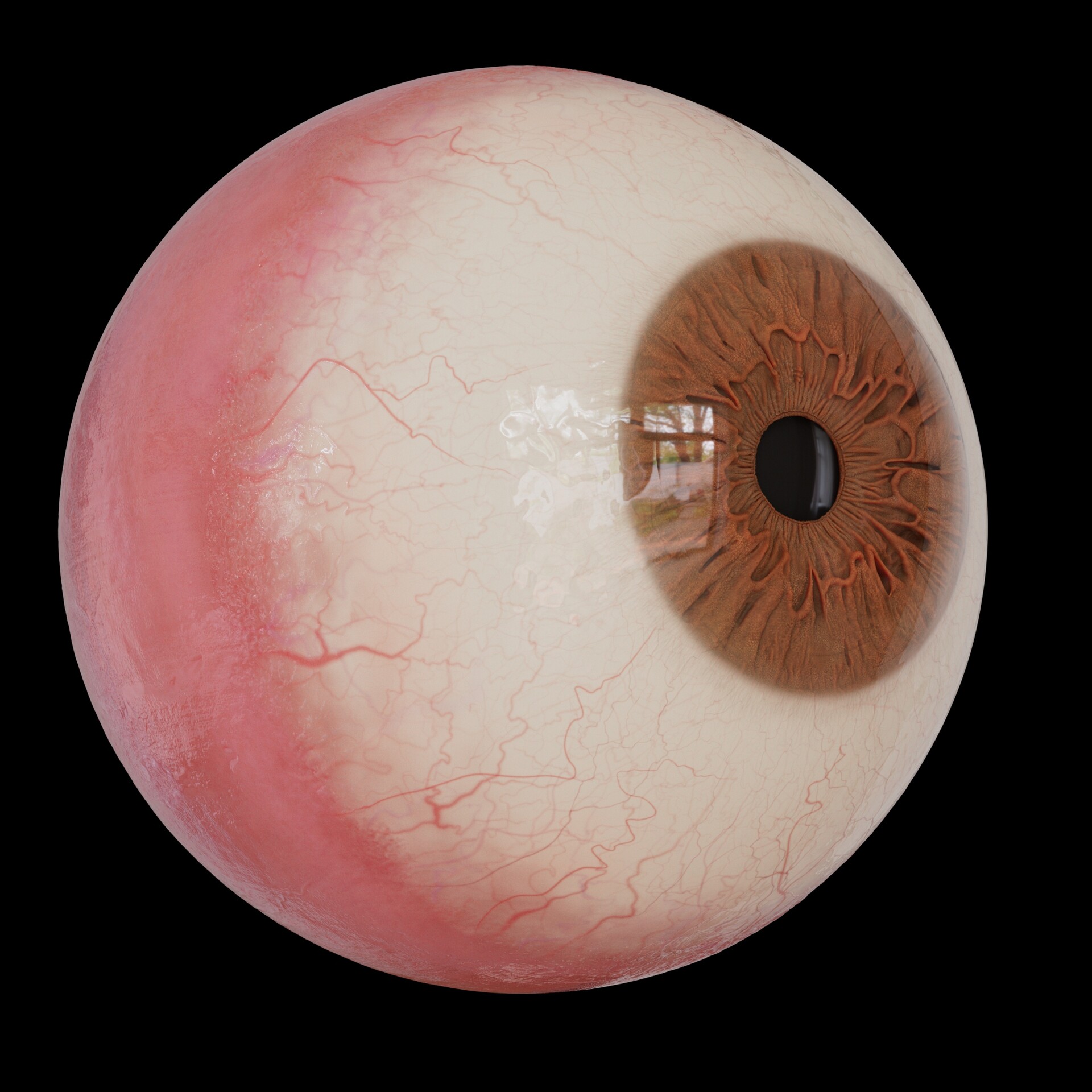 hamza ben salah - Realistic Human Eye ball