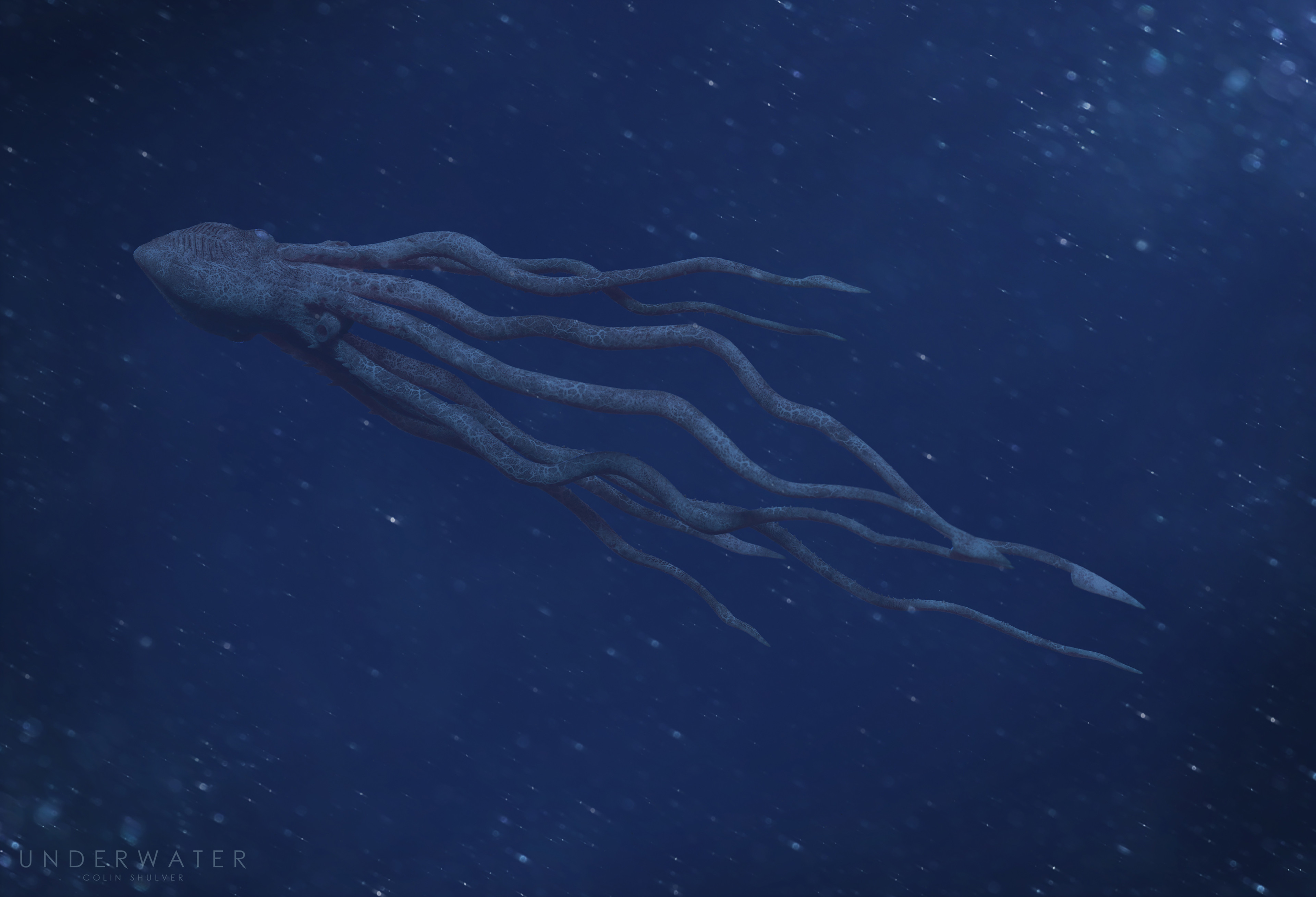 COLIN SHULVER - UNDERWATER