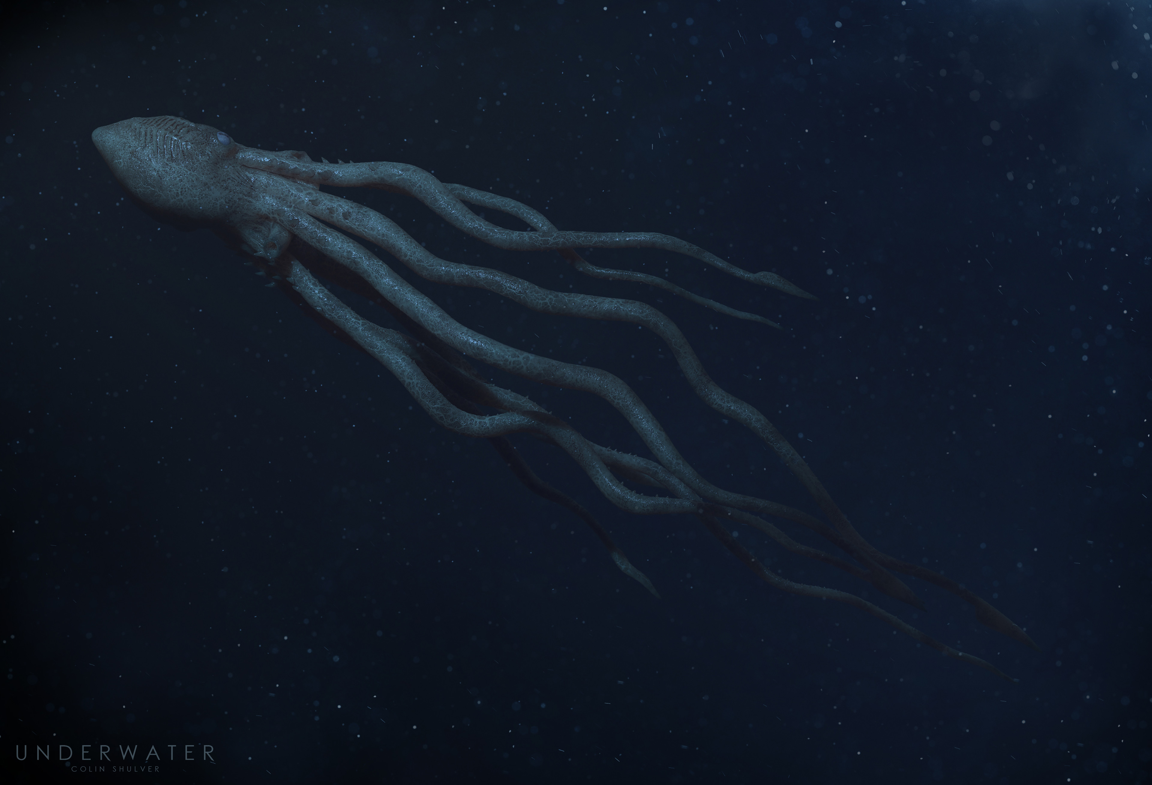 COLIN SHULVER - UNDERWATER