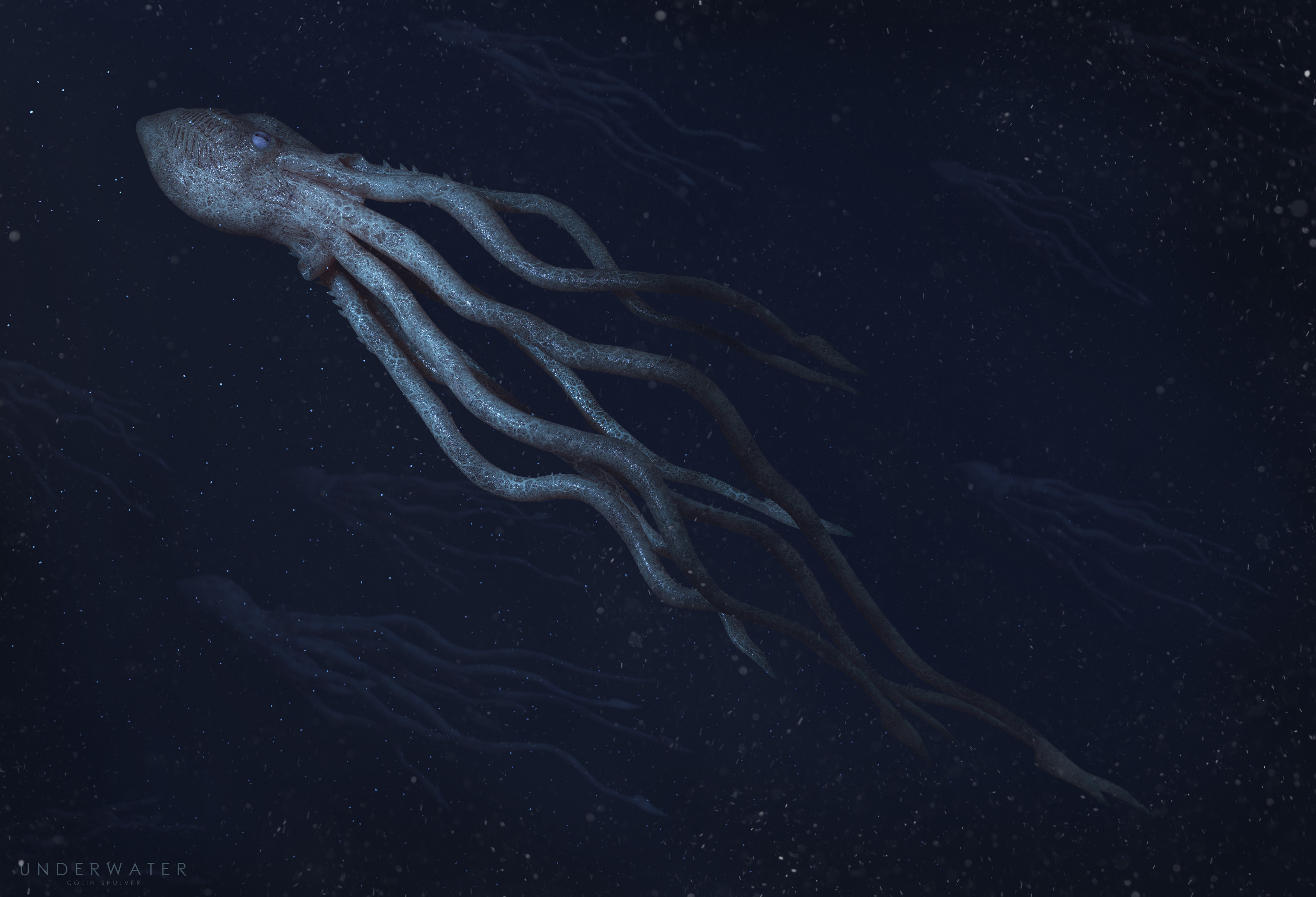 COLIN SHULVER - UNDERWATER