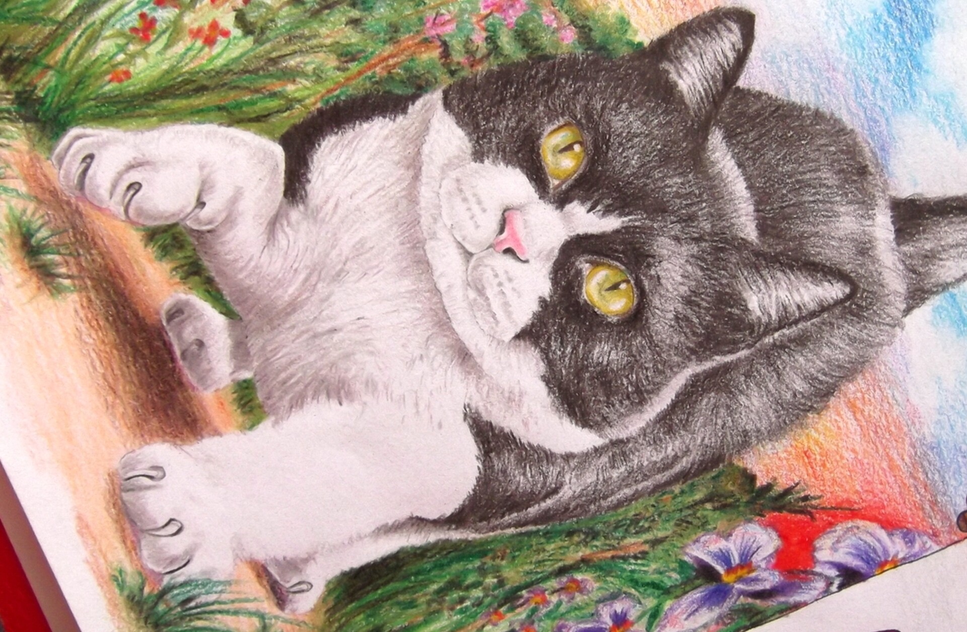 ArtStation - Hachi, Yasuyuki's cat - Hachi, el gato de Yasuyuki