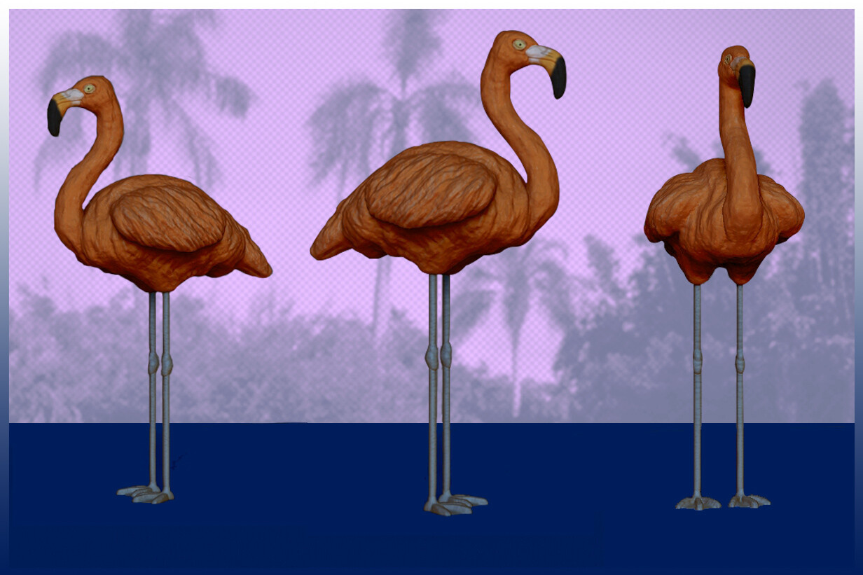 ArtStation - Flamingo Model
