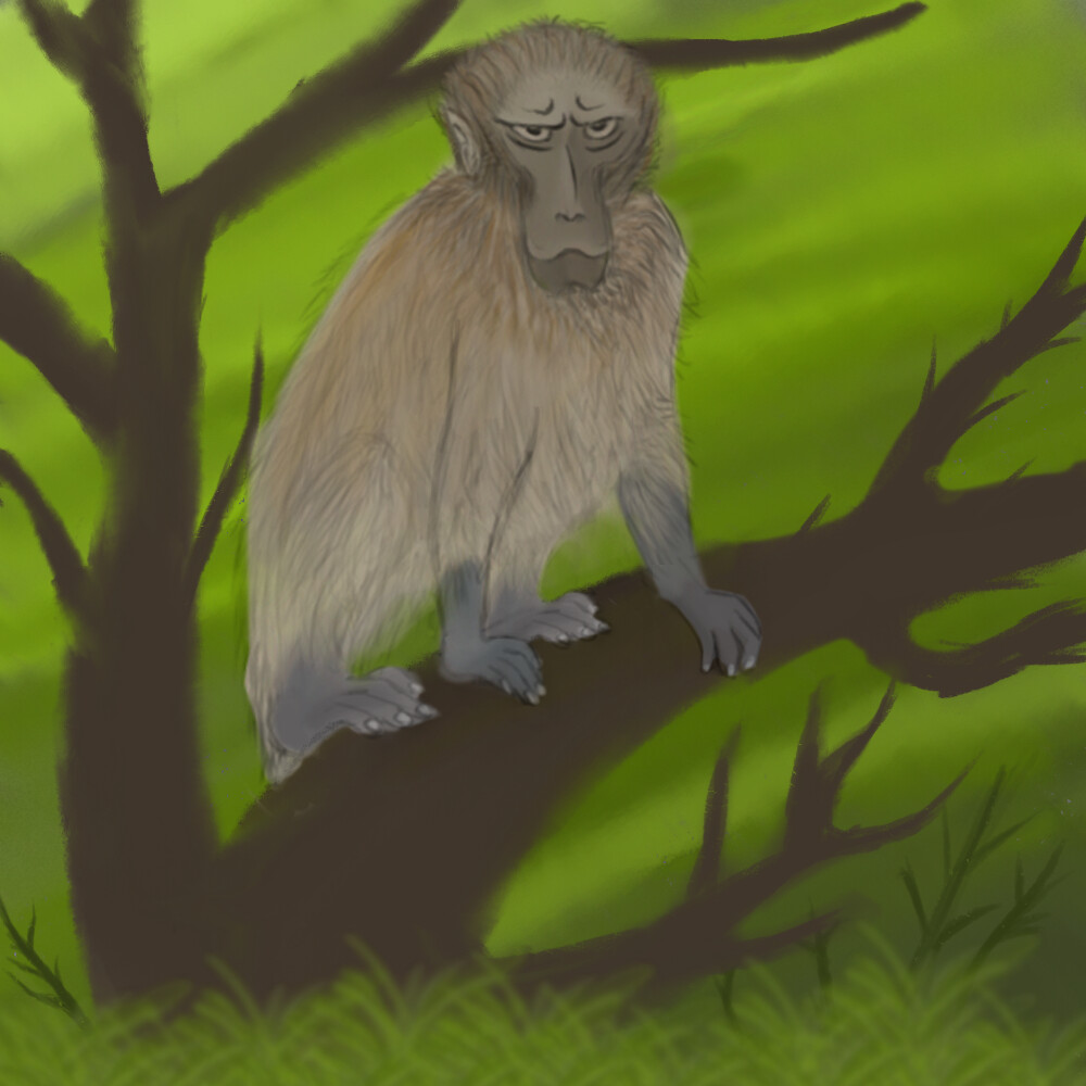 ArtStation - Monkey Character (Unnamed)