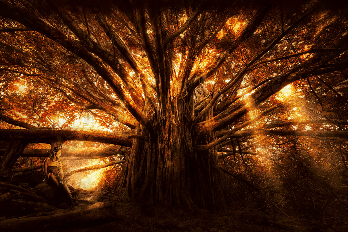 ArtStation - Elven - concept