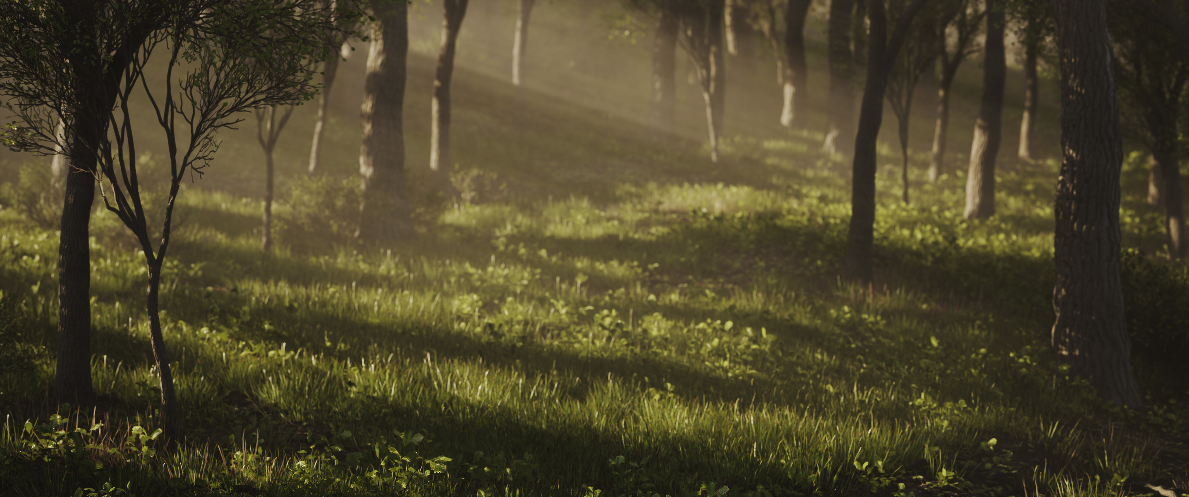 Borys Udodenko - Bayou - Foliage Study