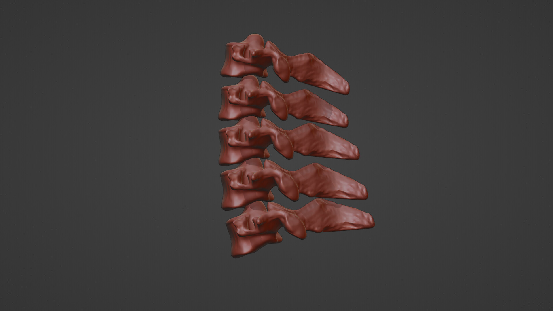 ArtStation - Skeleton spine