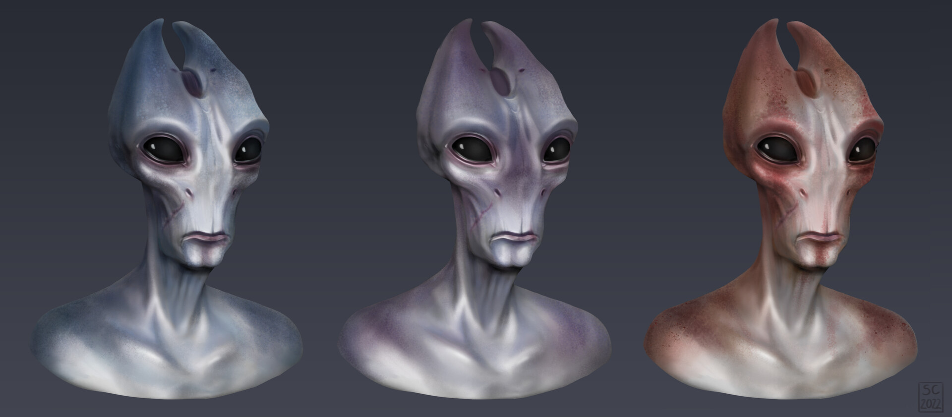 Salarian 3d Model