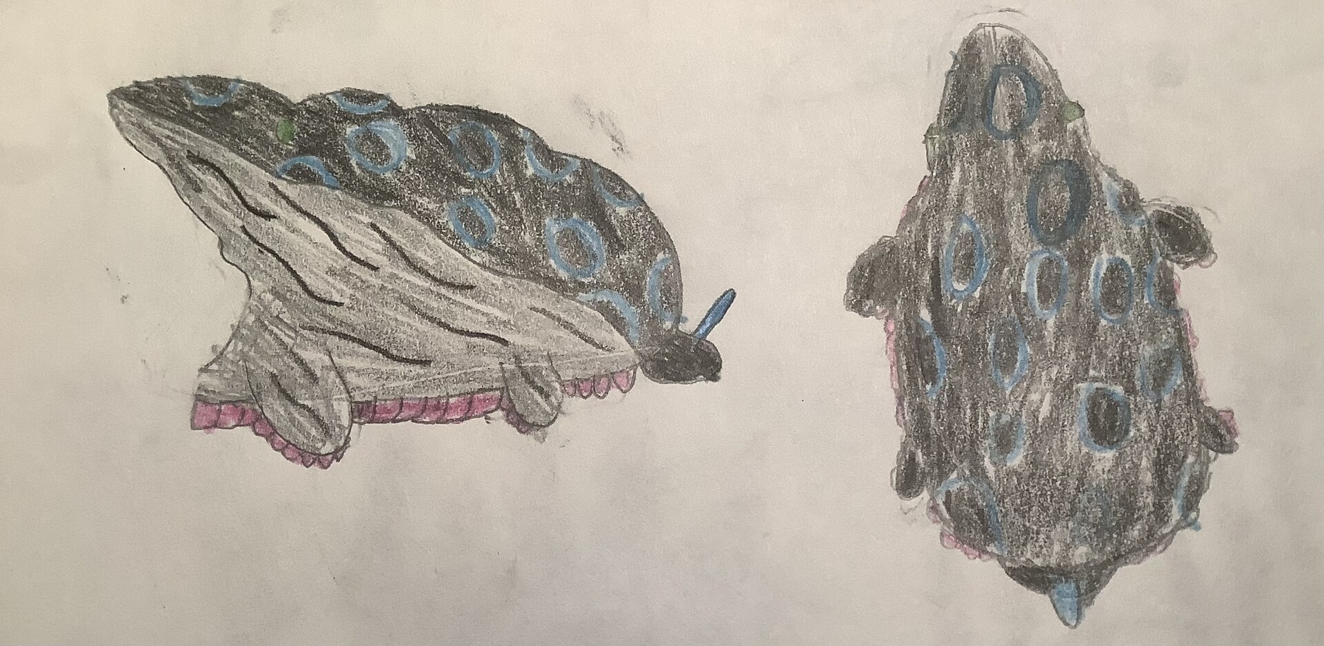 ArtStation - Elephant Slug