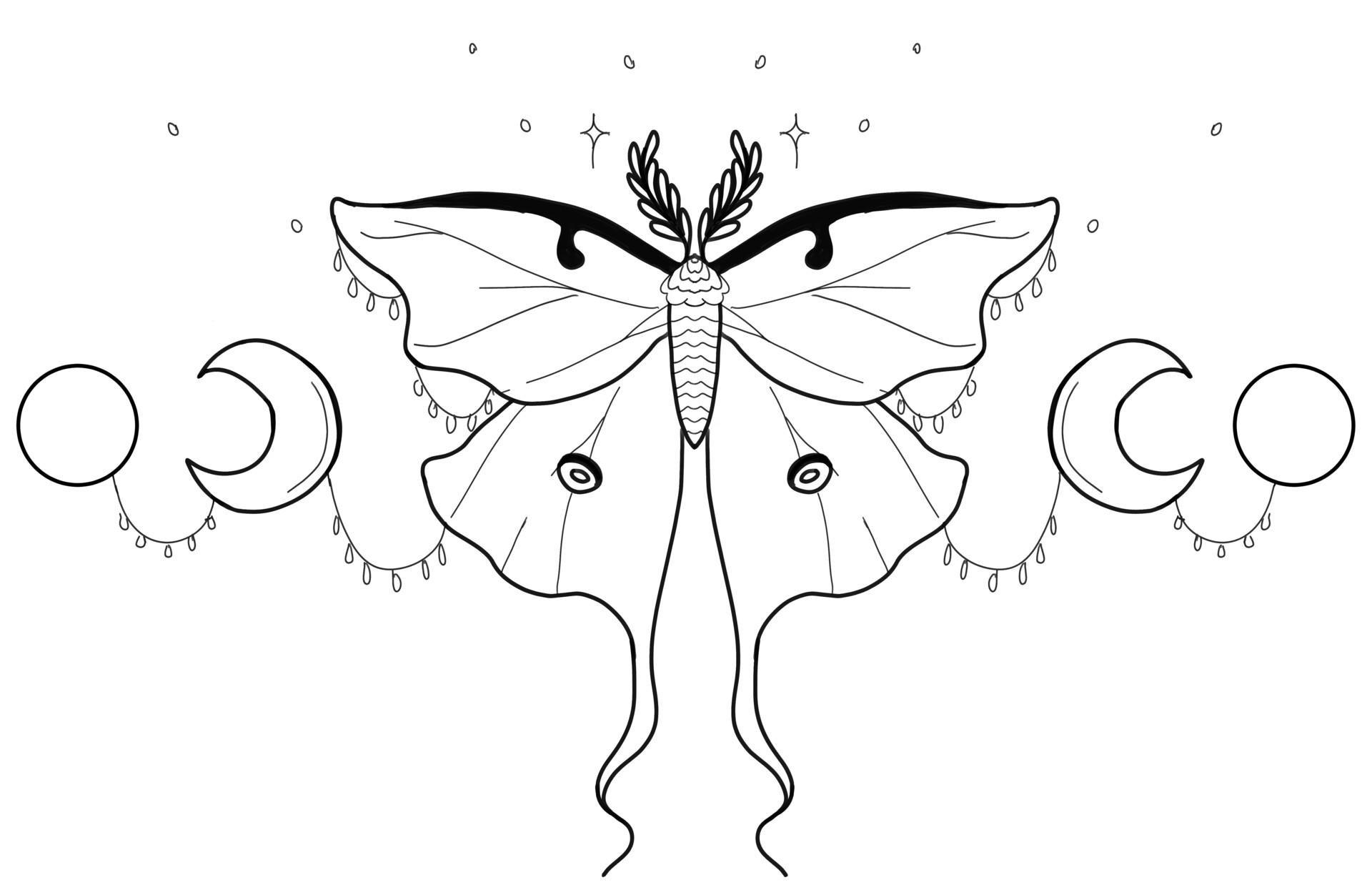 ArtStation - Moon Lit Moth