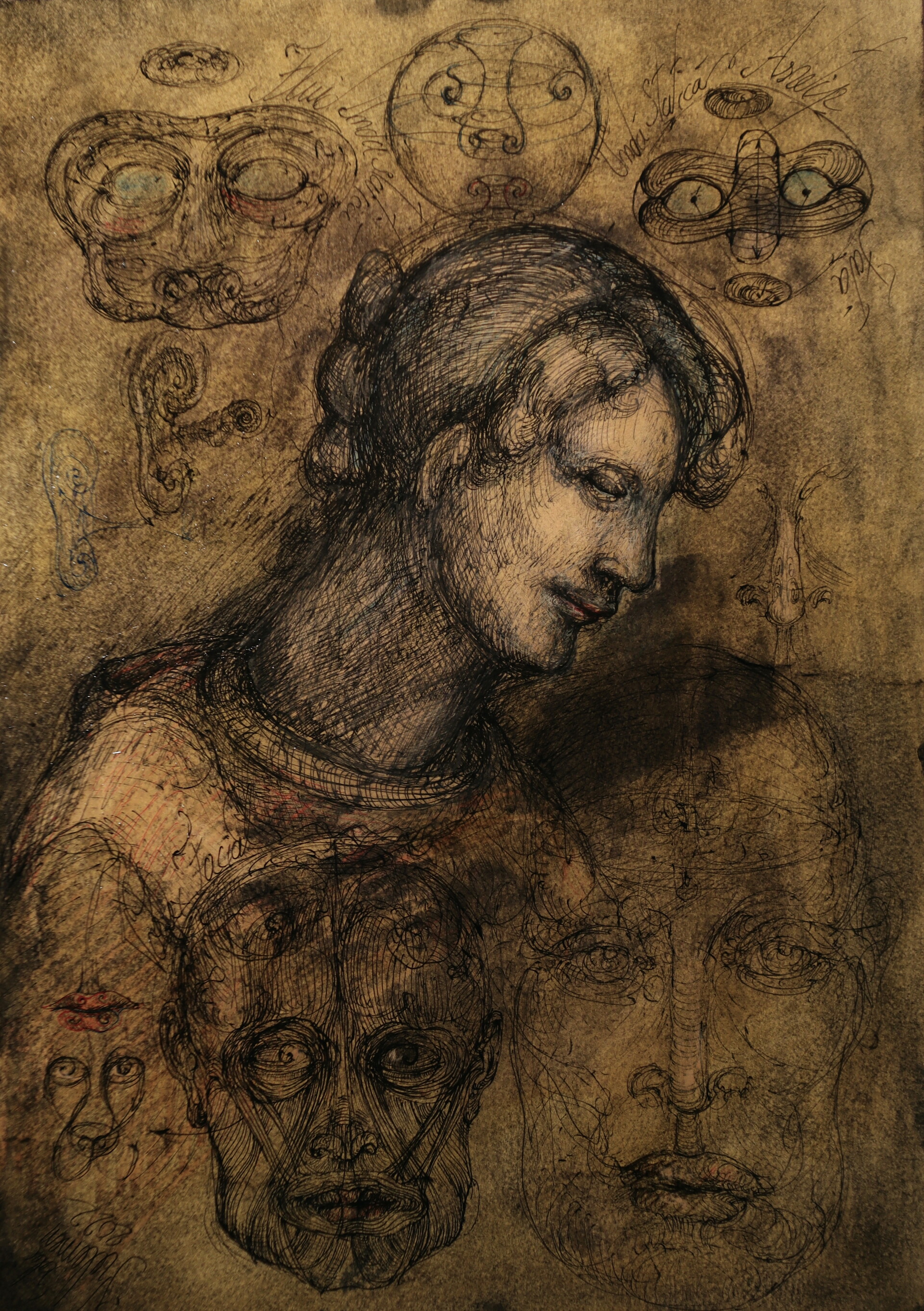 ArtStation - Human face archetype