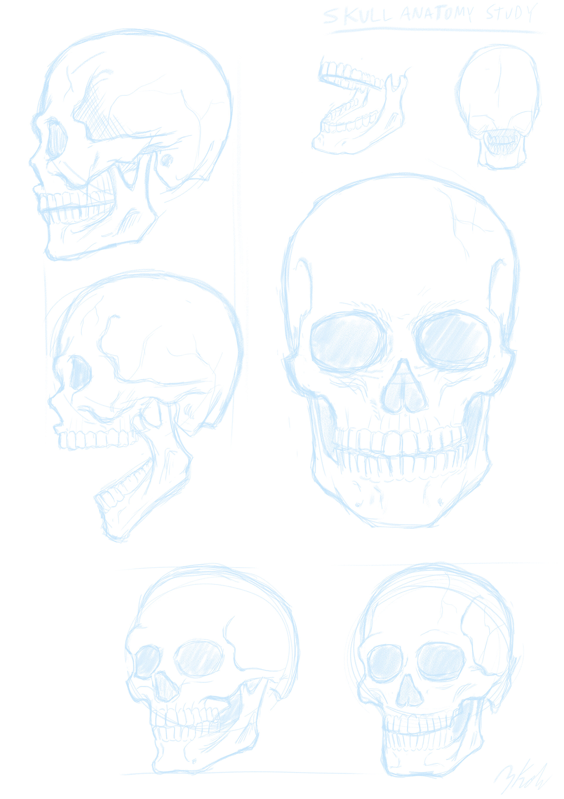 ArtStation - Skull Study