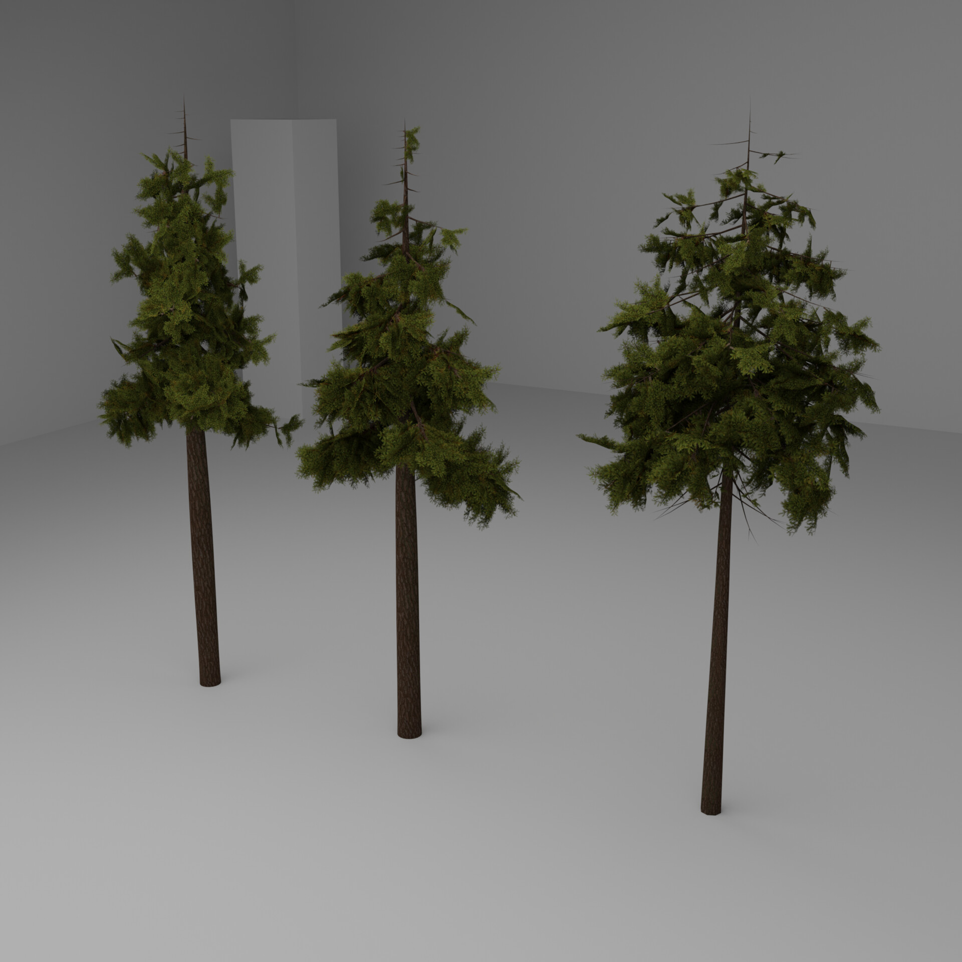 ArtStation - Basic foliage Douglas Fir