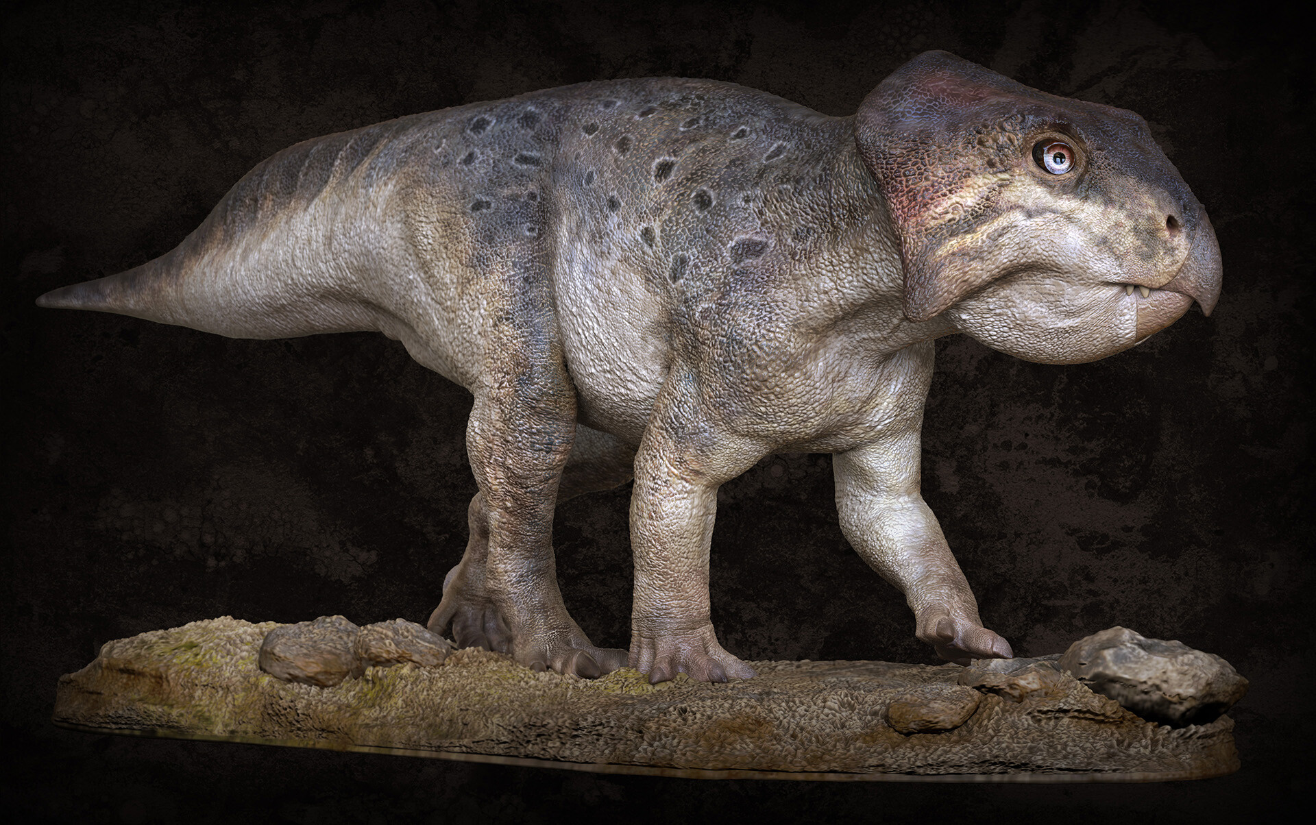 ArtStation - Leptoceratops gracilis