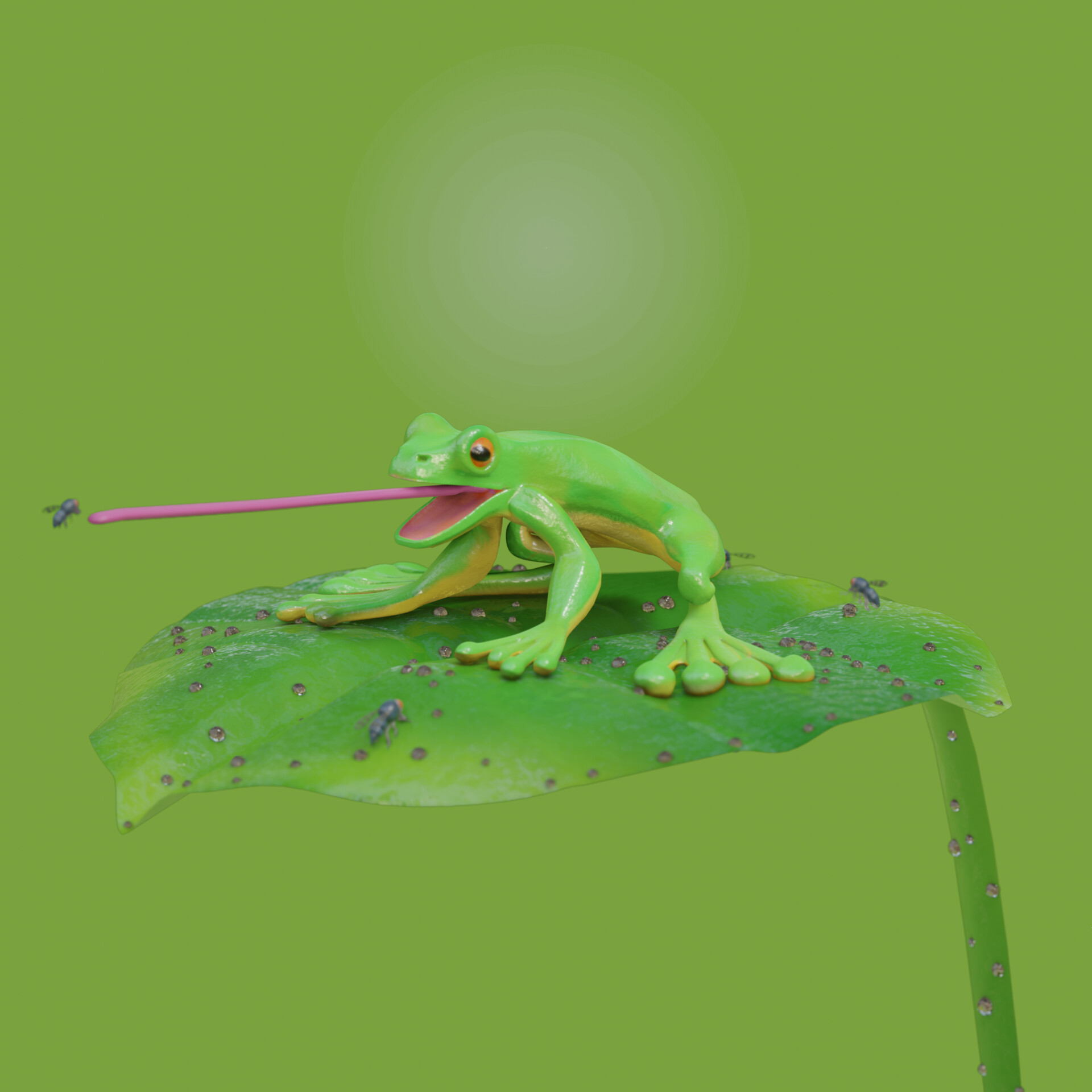 ArtStation - Simple Frog Model