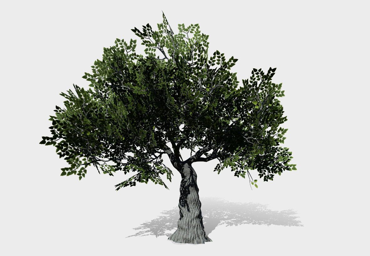 Xi Chen - Photorealism Trees and Plants