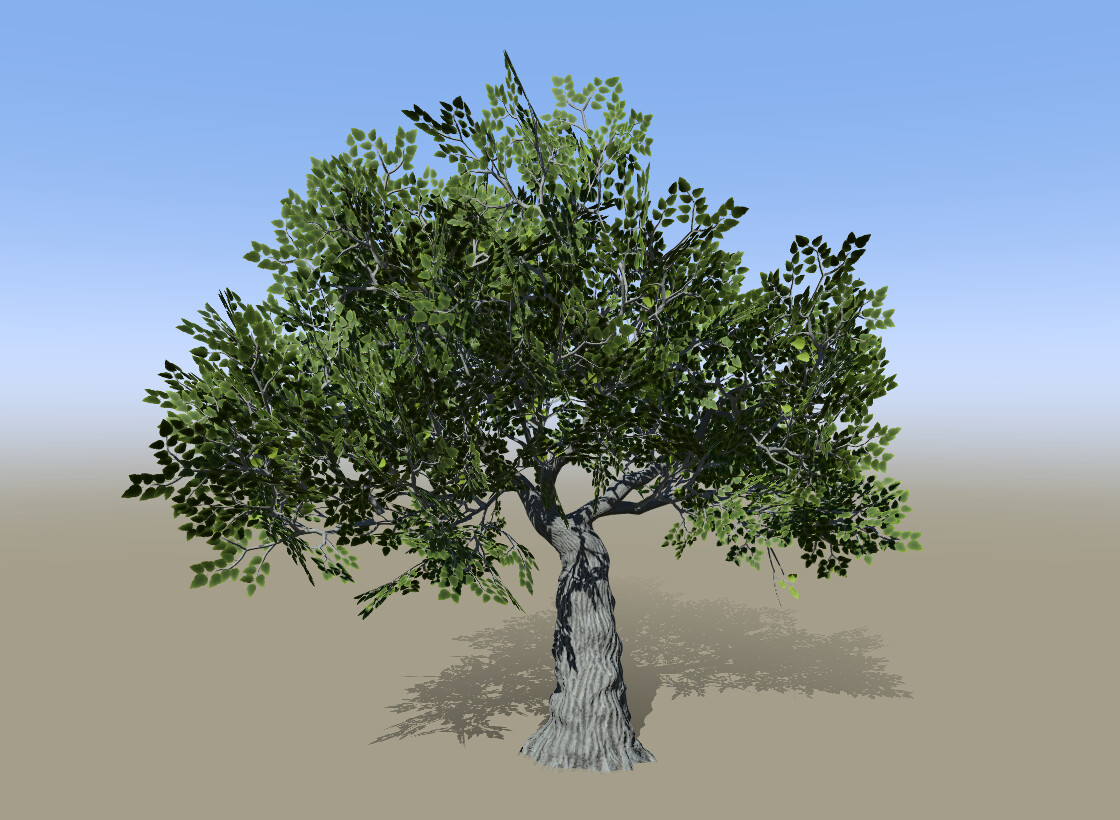 Xi Chen - Photorealism Trees and Plants