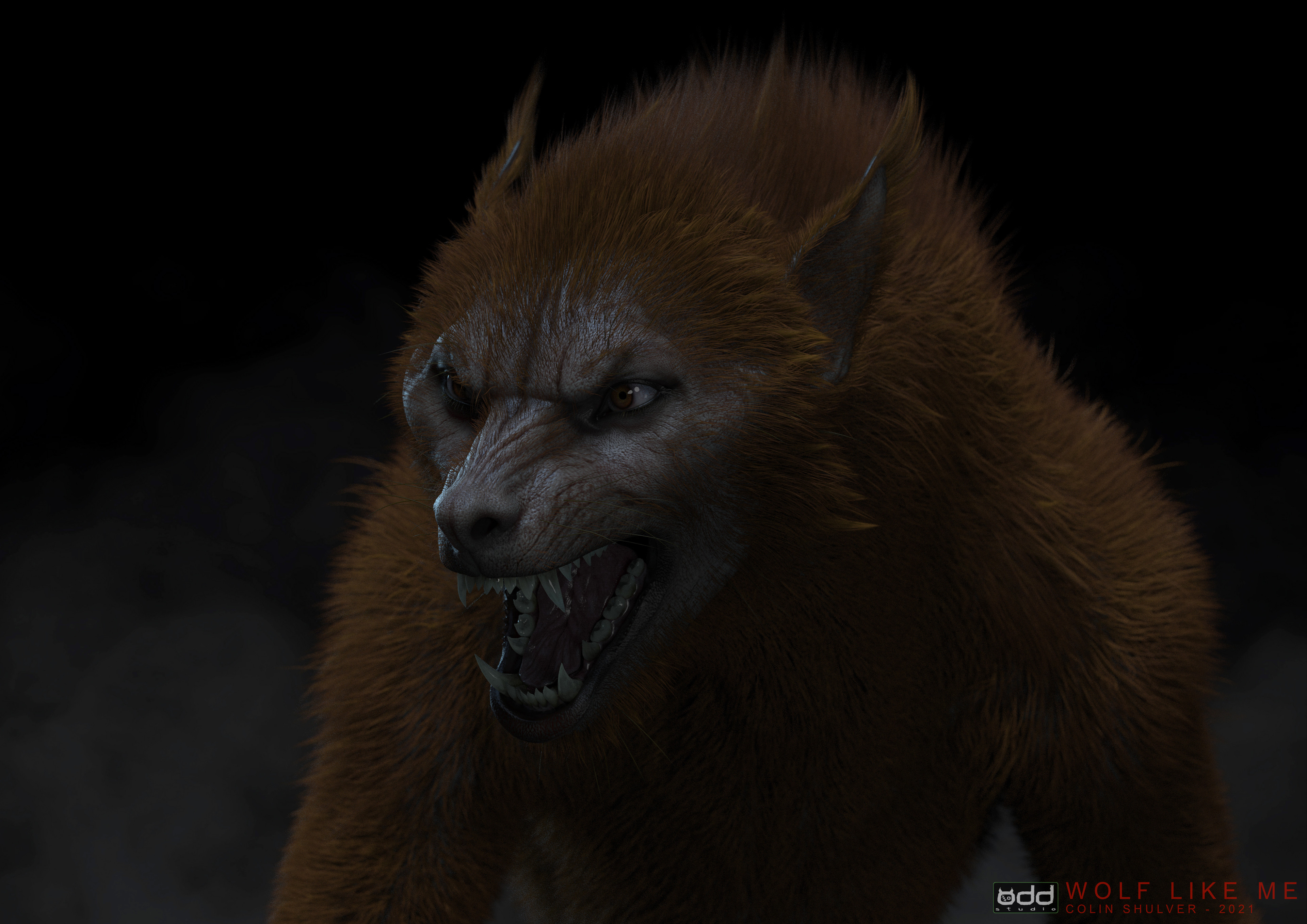 COLIN SHULVER - WOLF LIKE ME