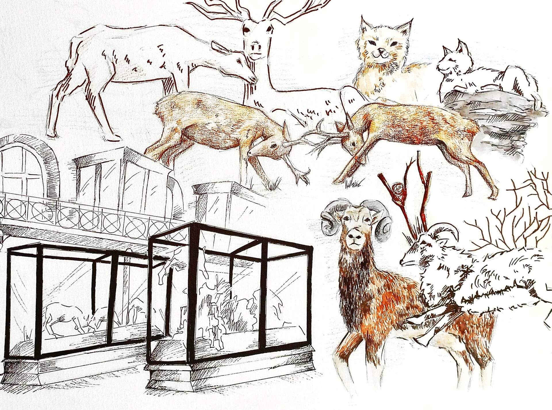 ArtStation - Outdoor sketch (museum)