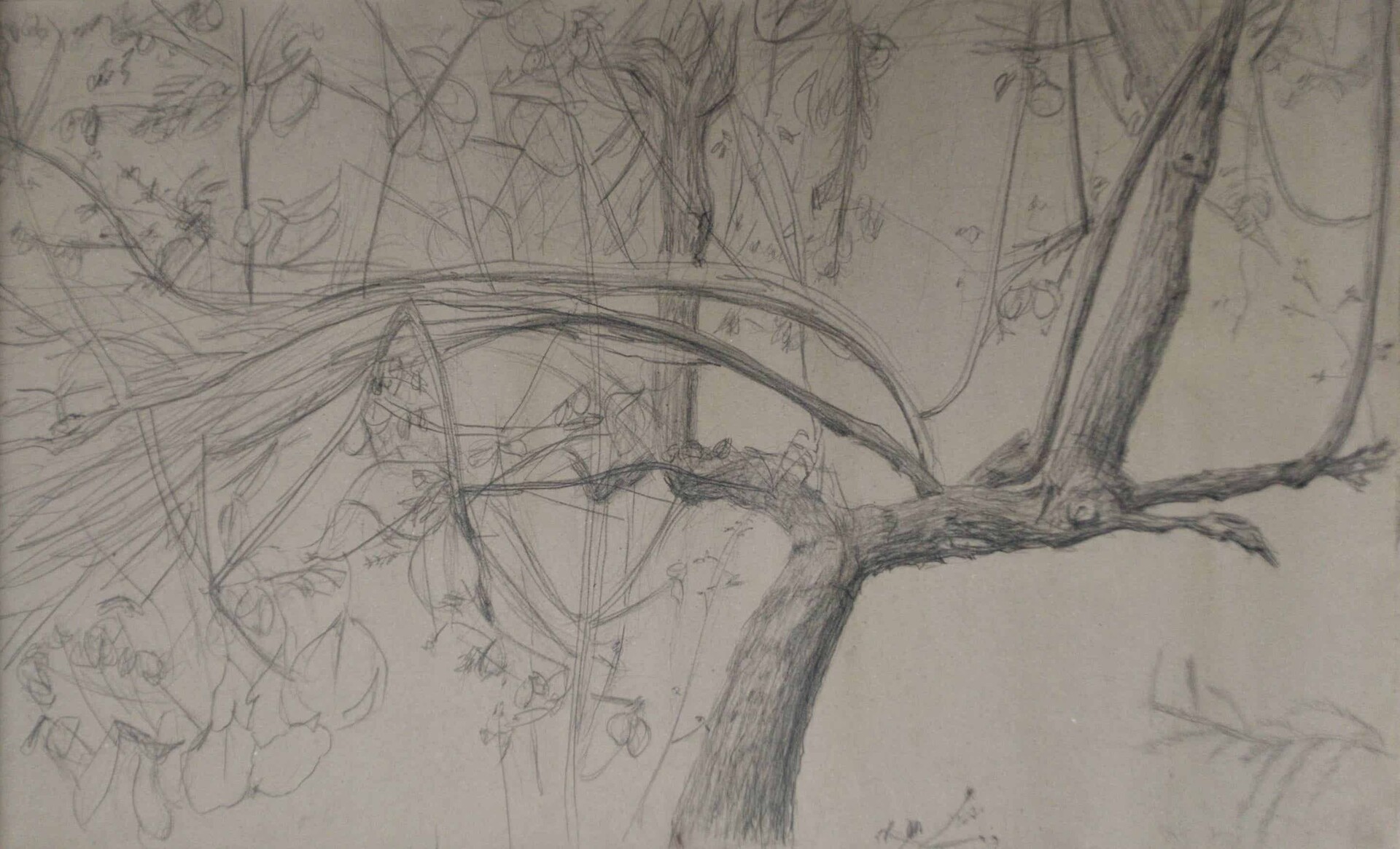 ArtStation - tree study 2