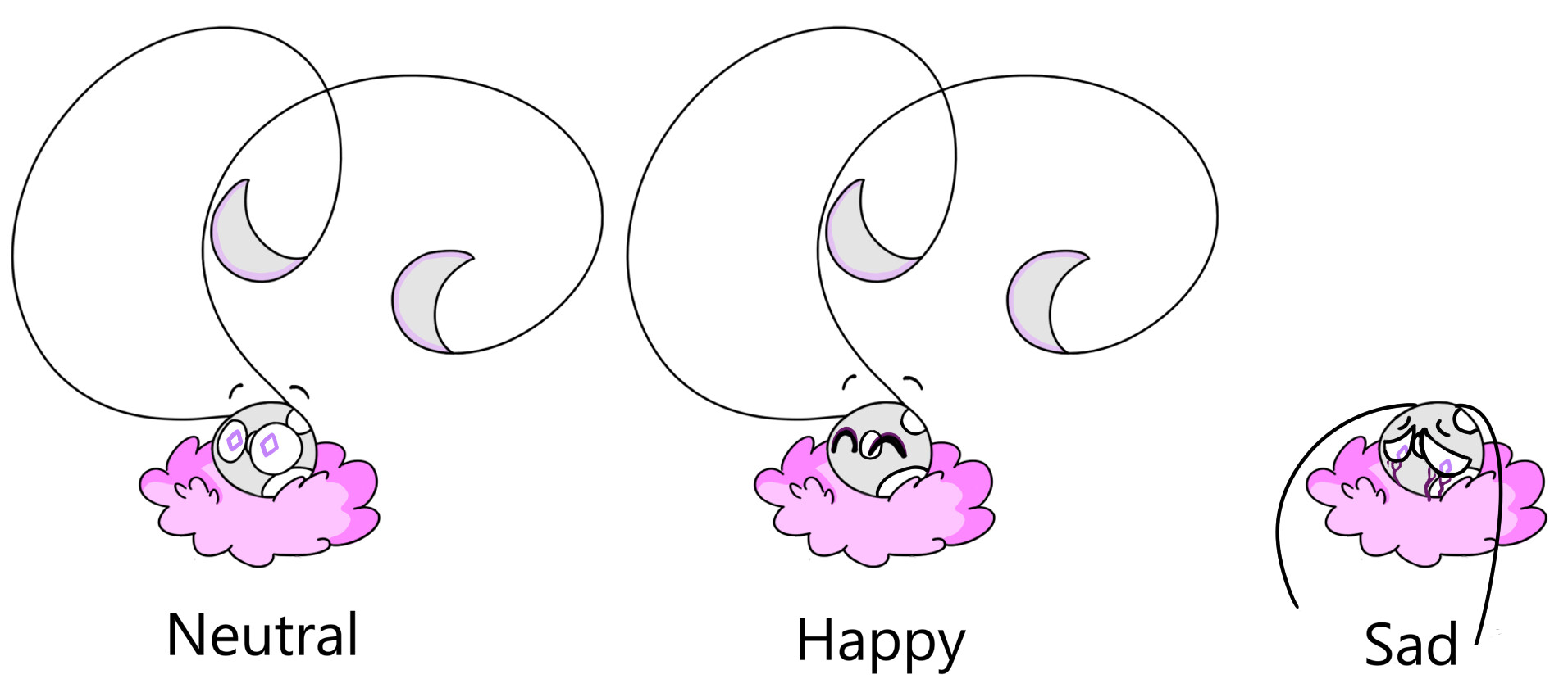 Arnaud Robert - Main pack 2022 Boss