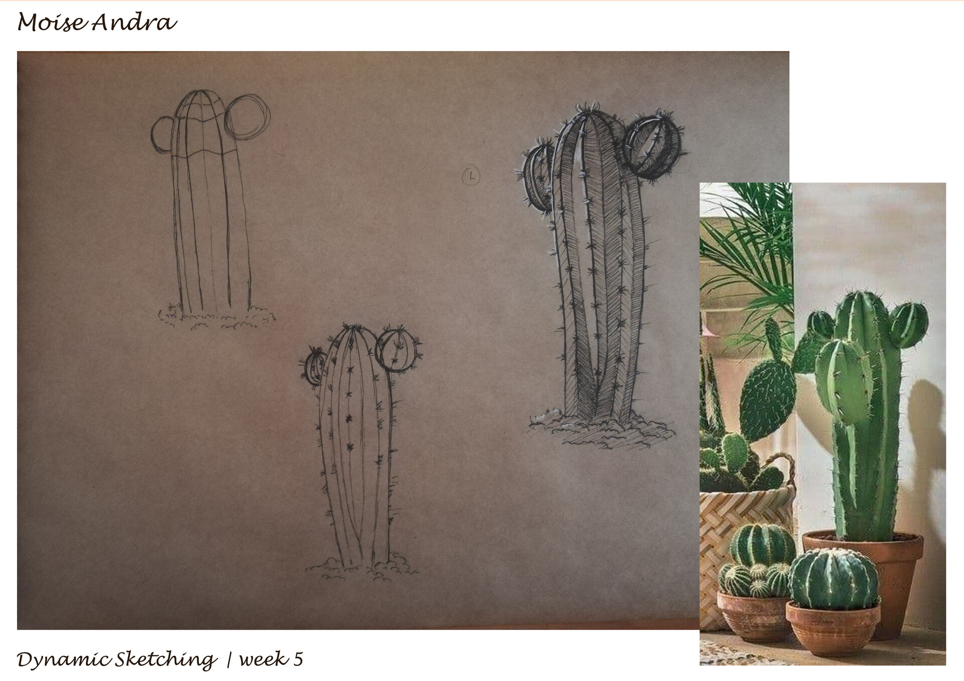 Andra Moise - Nature study