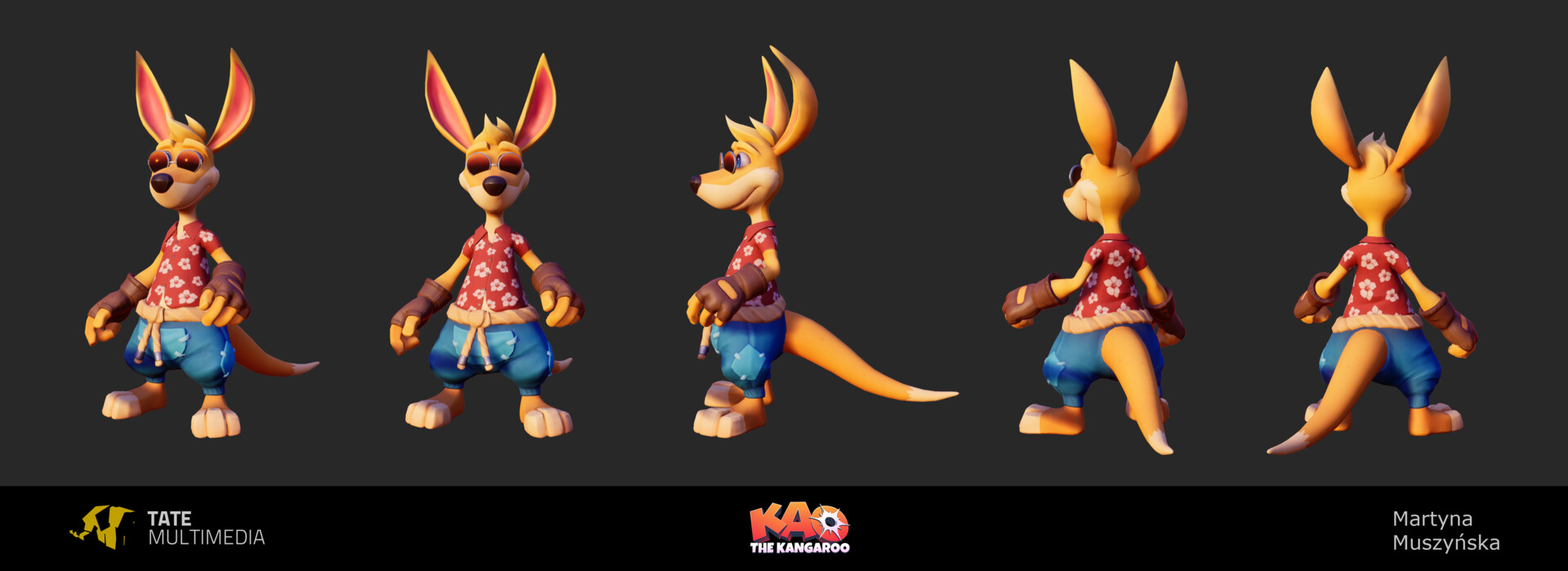 Martyna Muszyńska - Kao the Kangaroo - Kao Skins