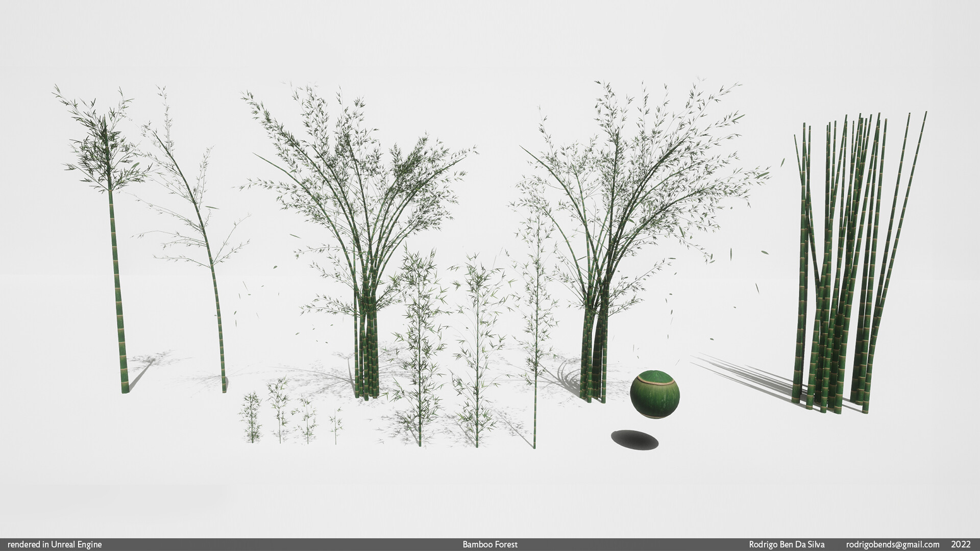 Rodrigo Ben Da Silva - Bamboo Forest - Unreal Engine 5
