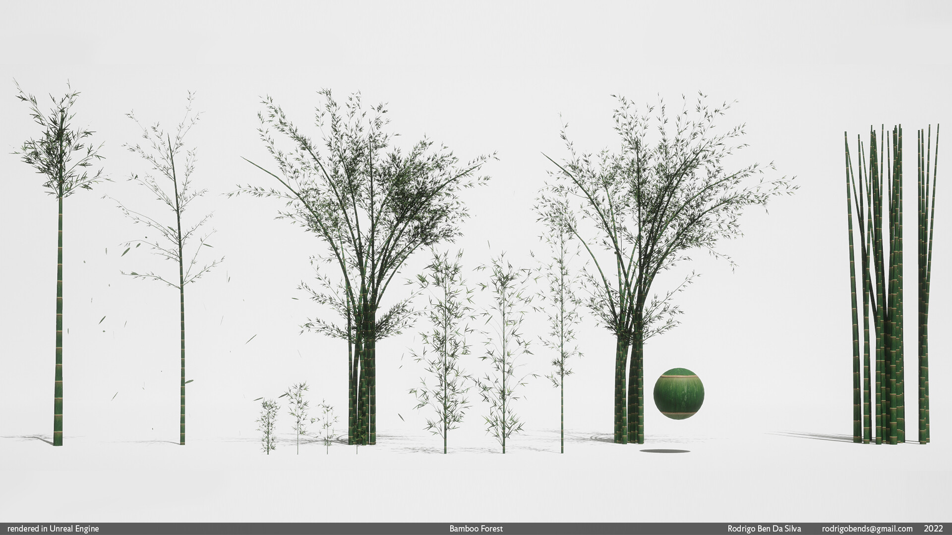 Rodrigo Ben Da Silva - Bamboo Forest - Unreal Engine 5