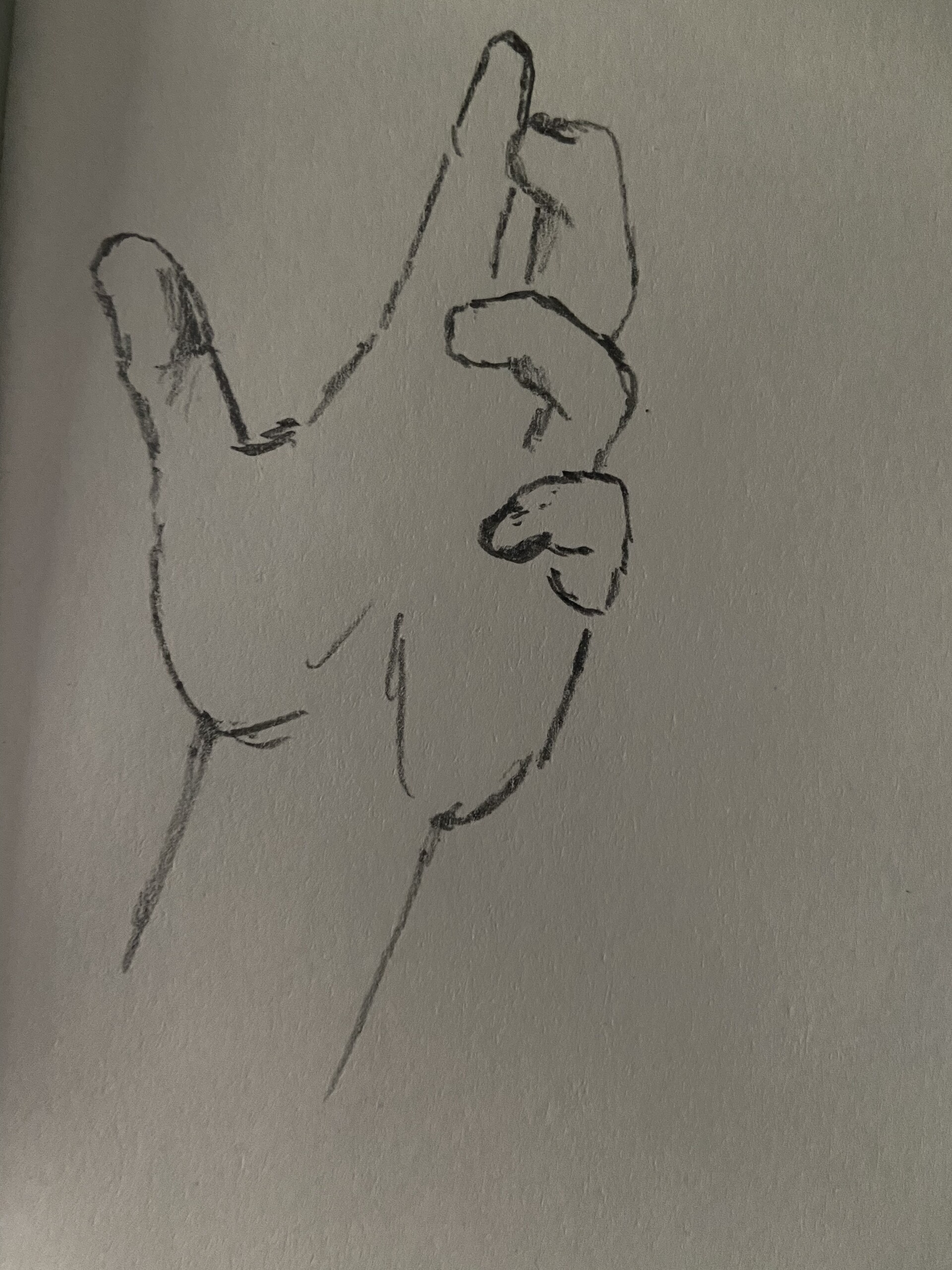 left hand sketch
